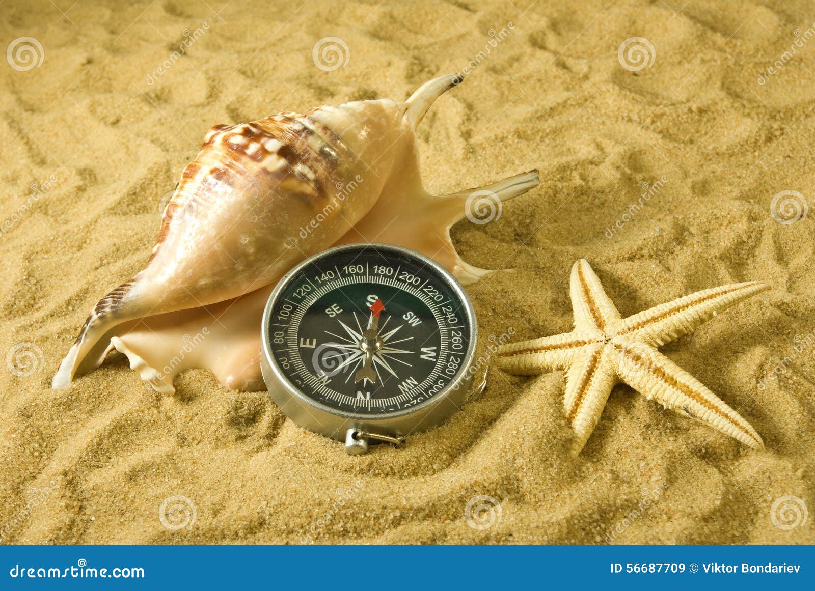 Sea Shells and Compass in the Sand Stock Image - Image of island, ocean ...