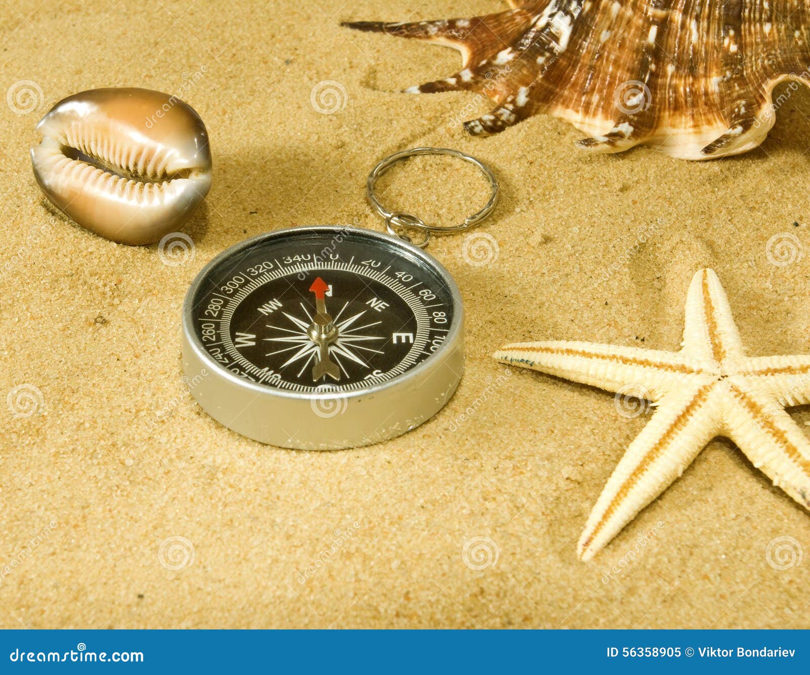 Sea Shells and Compass in the Sand Stock Image - Image of ocean ...
