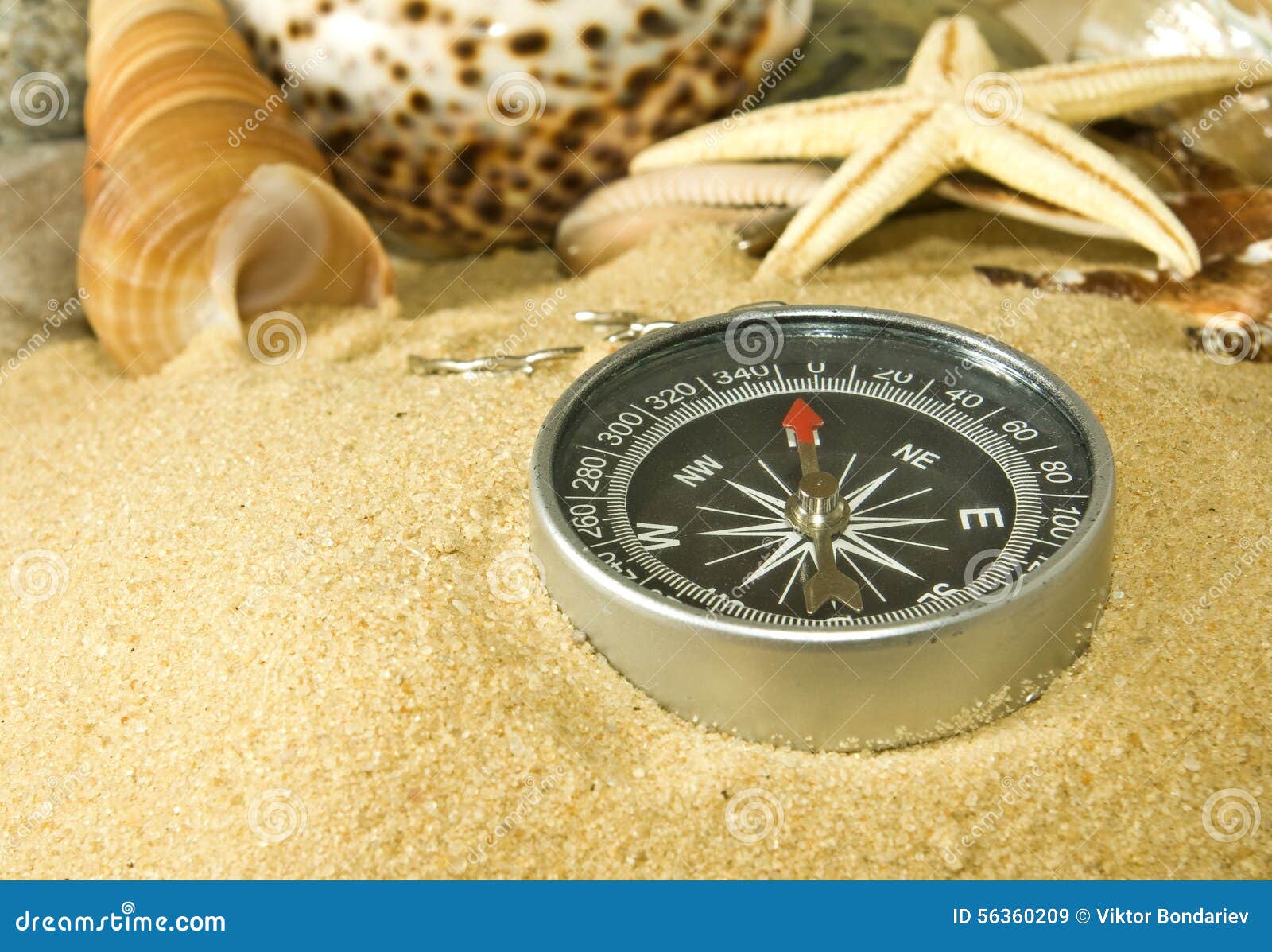 Sea Shells and Compass in the Sand Stock Image - Image of border ...