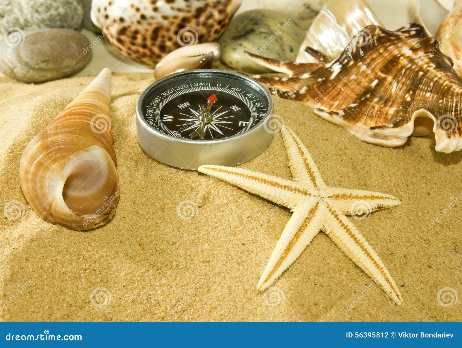 Sea Shells and Compass in the Sand Stock Photo - Image of scallop ...
