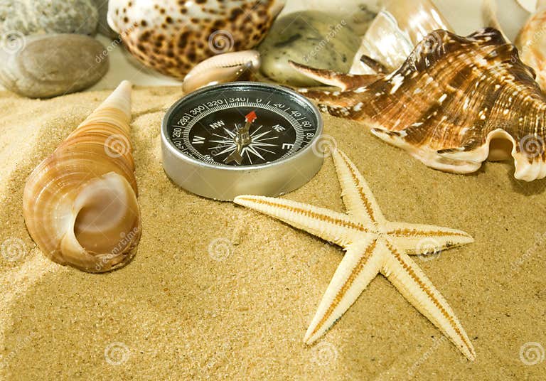 Sea Shells and Compass in the Sand Stock Photo - Image of scallop ...