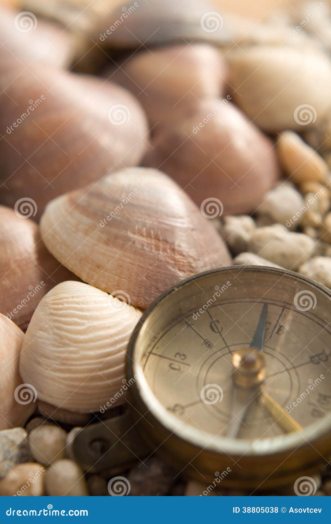 Sea Shells, Compass and the Stones Closeup Stock Photo - Image of ...