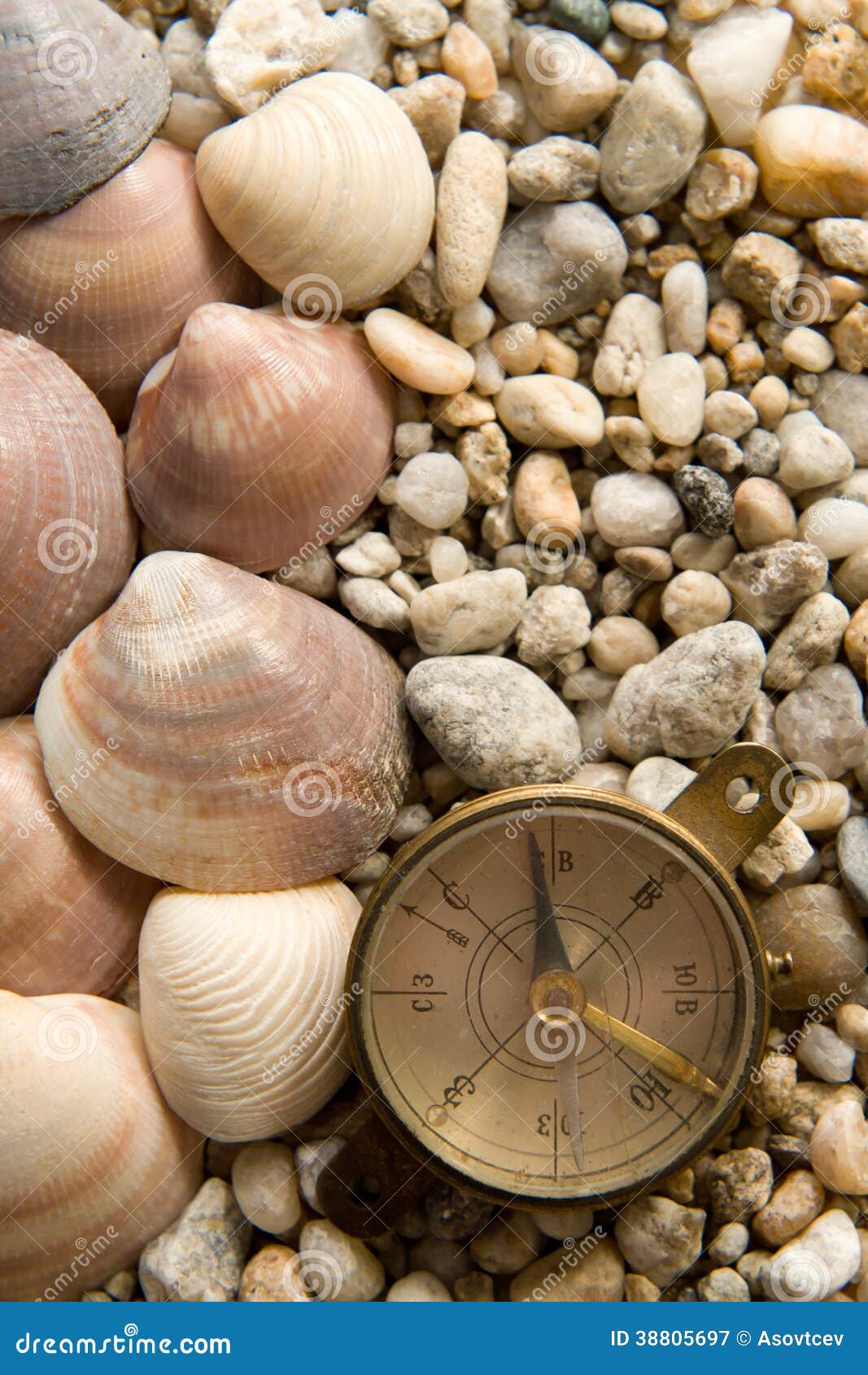 Sea Shells, Compass and the Stones Closeup Stock Image - Image of ...
