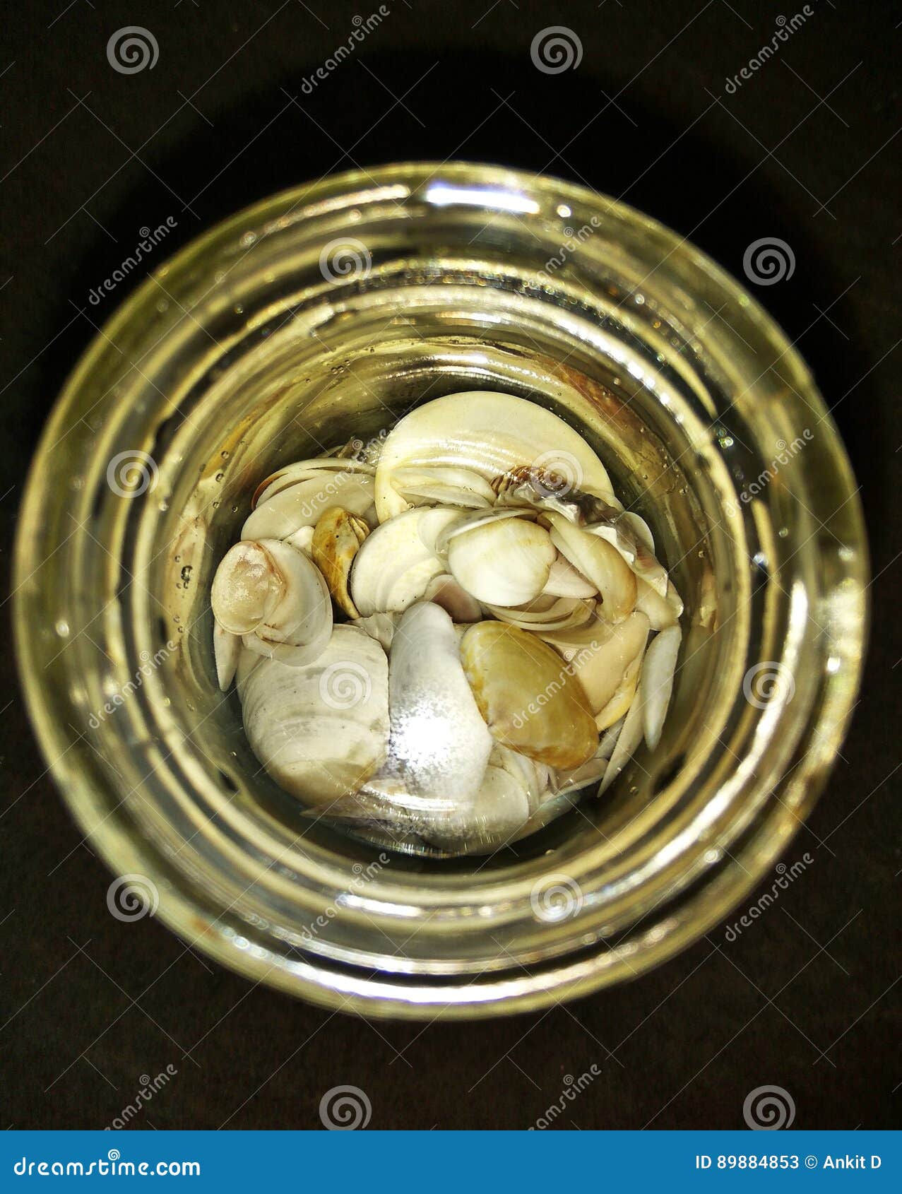 Sea shells in a container stock image. Image of sized - 89884853