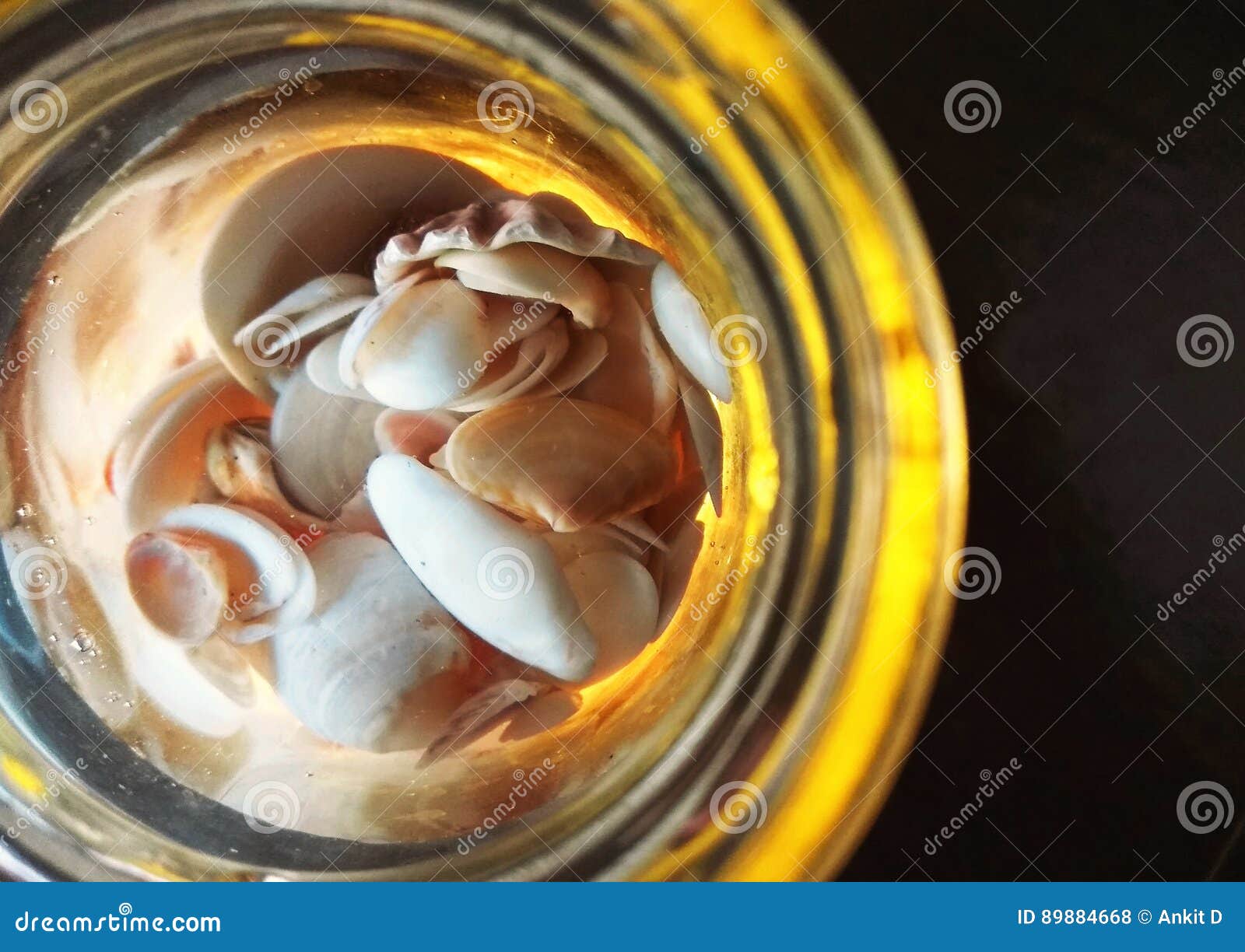 Sea shells in a container stock photo. Image of size - 89884668