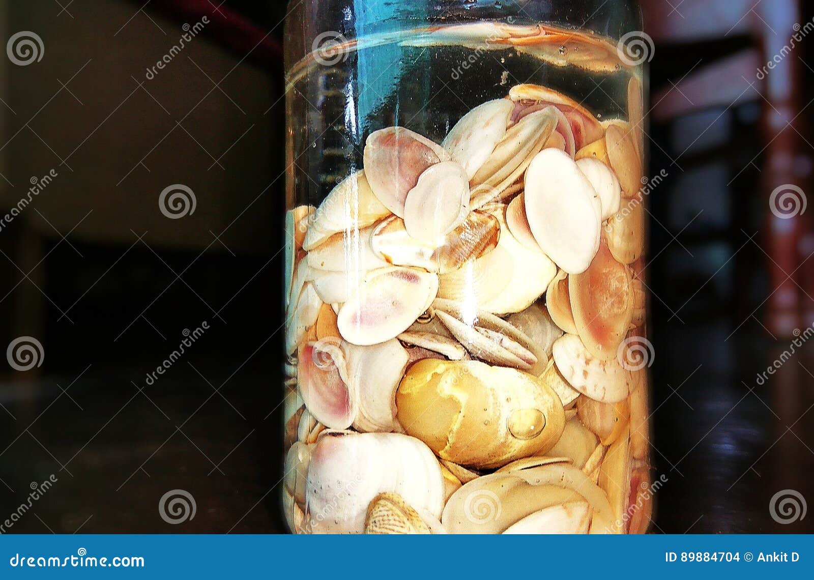 Sea shells in a container stock photo. Image of shape - 89884704