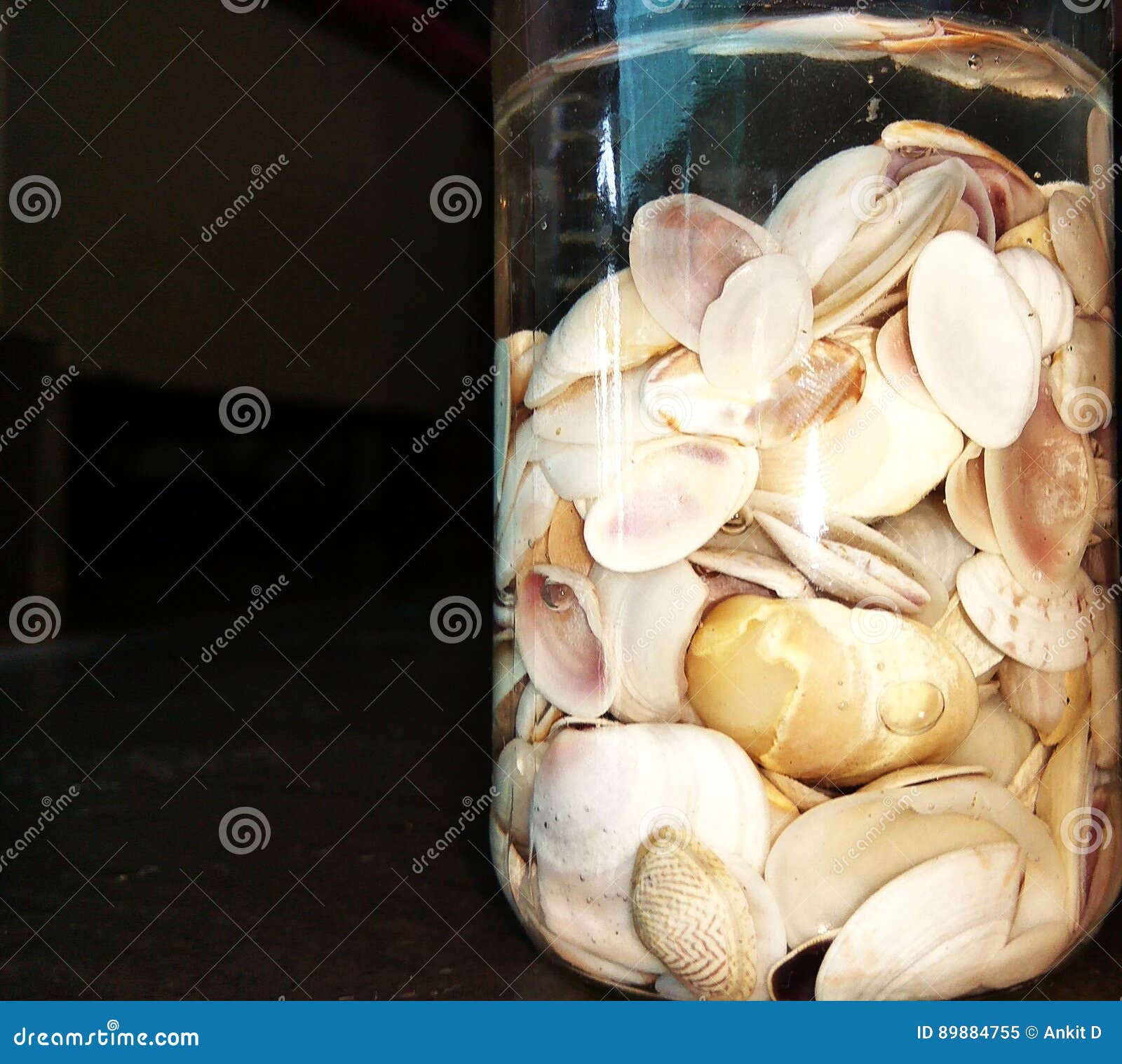 Sea shells in a container stock image. Image of shape - 89884755