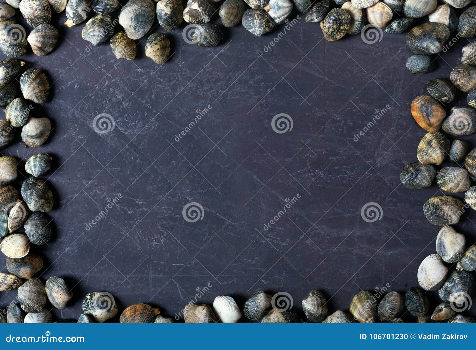 Sea shells on a marble stock photo. Image of pattern - 106701230