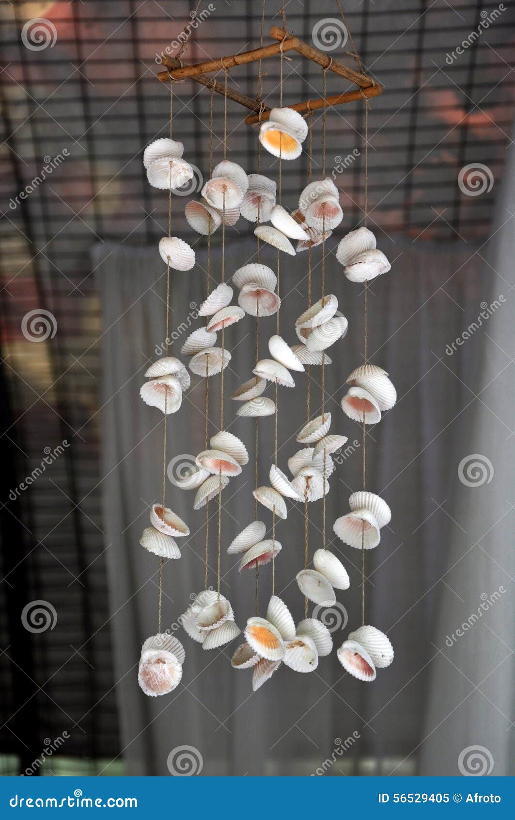 Sea shells decorations stock image. Image of blue, design - 56529405