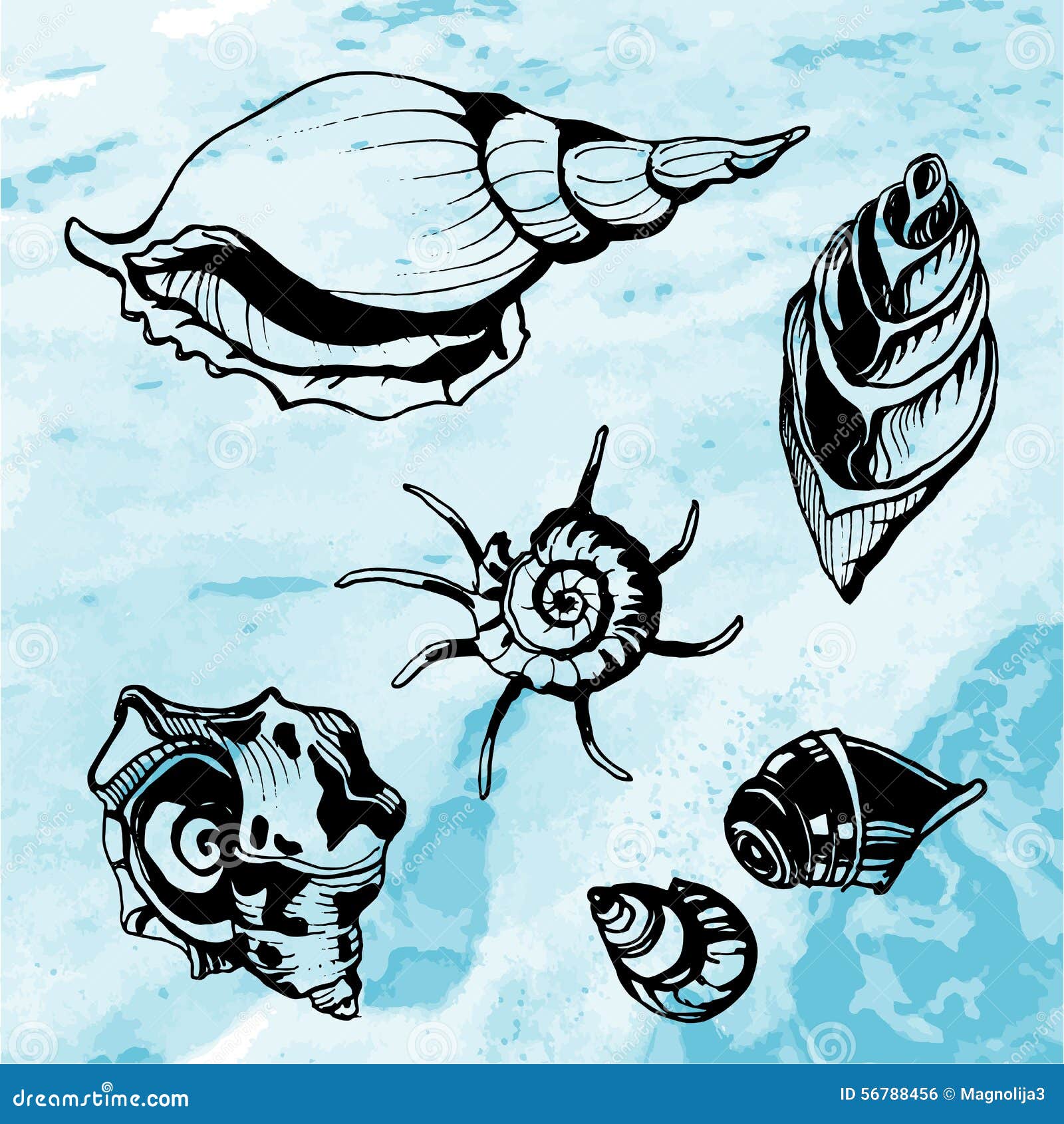 Decorative Shells Stock Illustrations – 4,205 Decorative Shells Stock ...