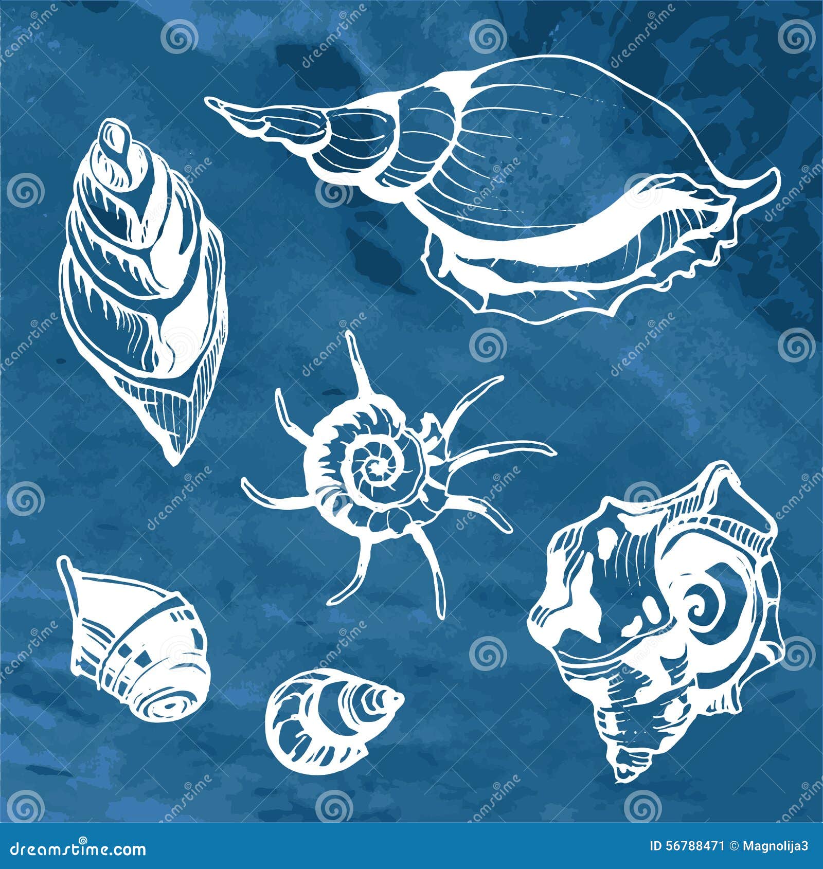Sea Shells Decorative Icons Stock Vector - Illustration of shell ...