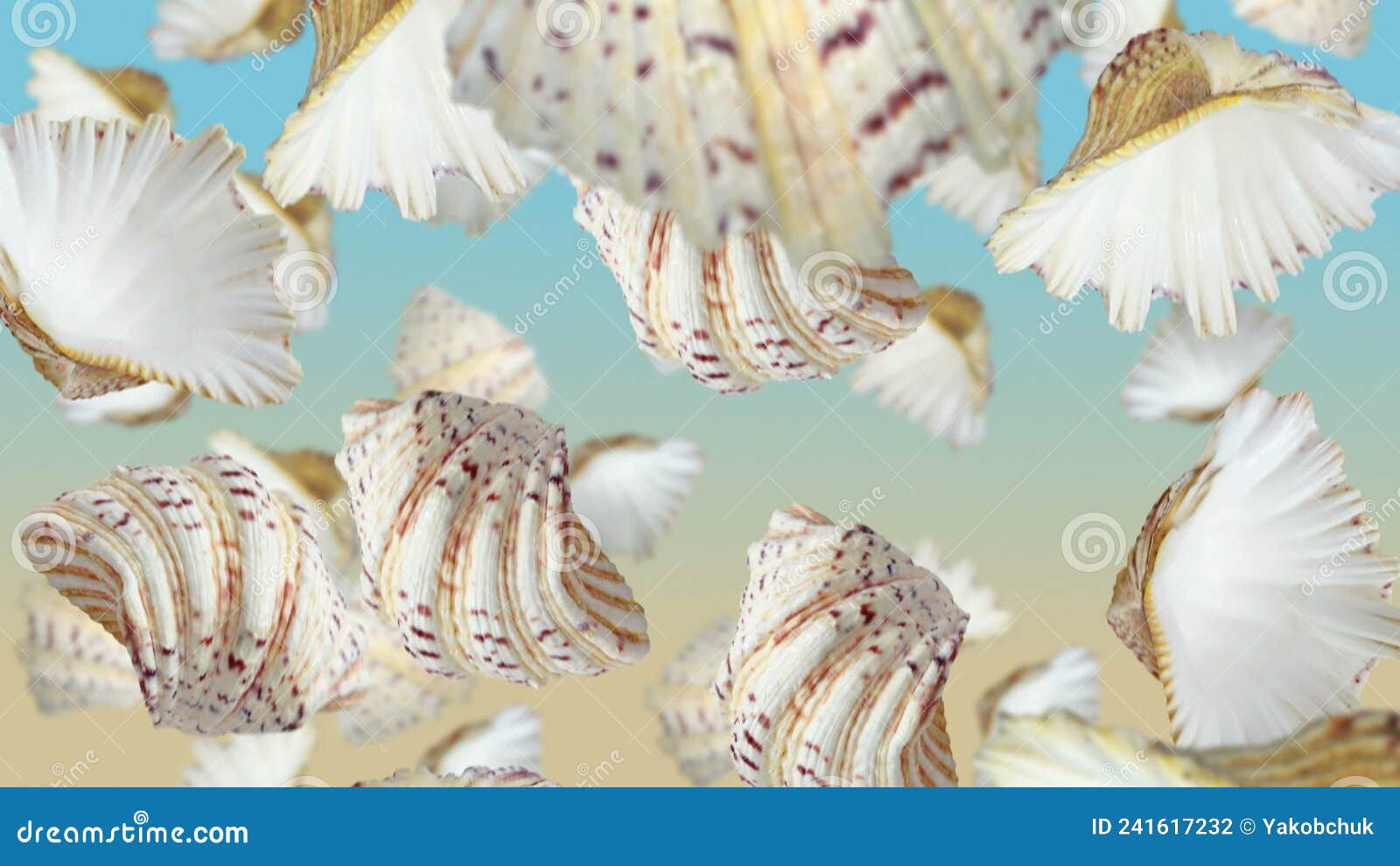Sea Shells Falling Down. Slow Motion. Stock Footage - Video of ...