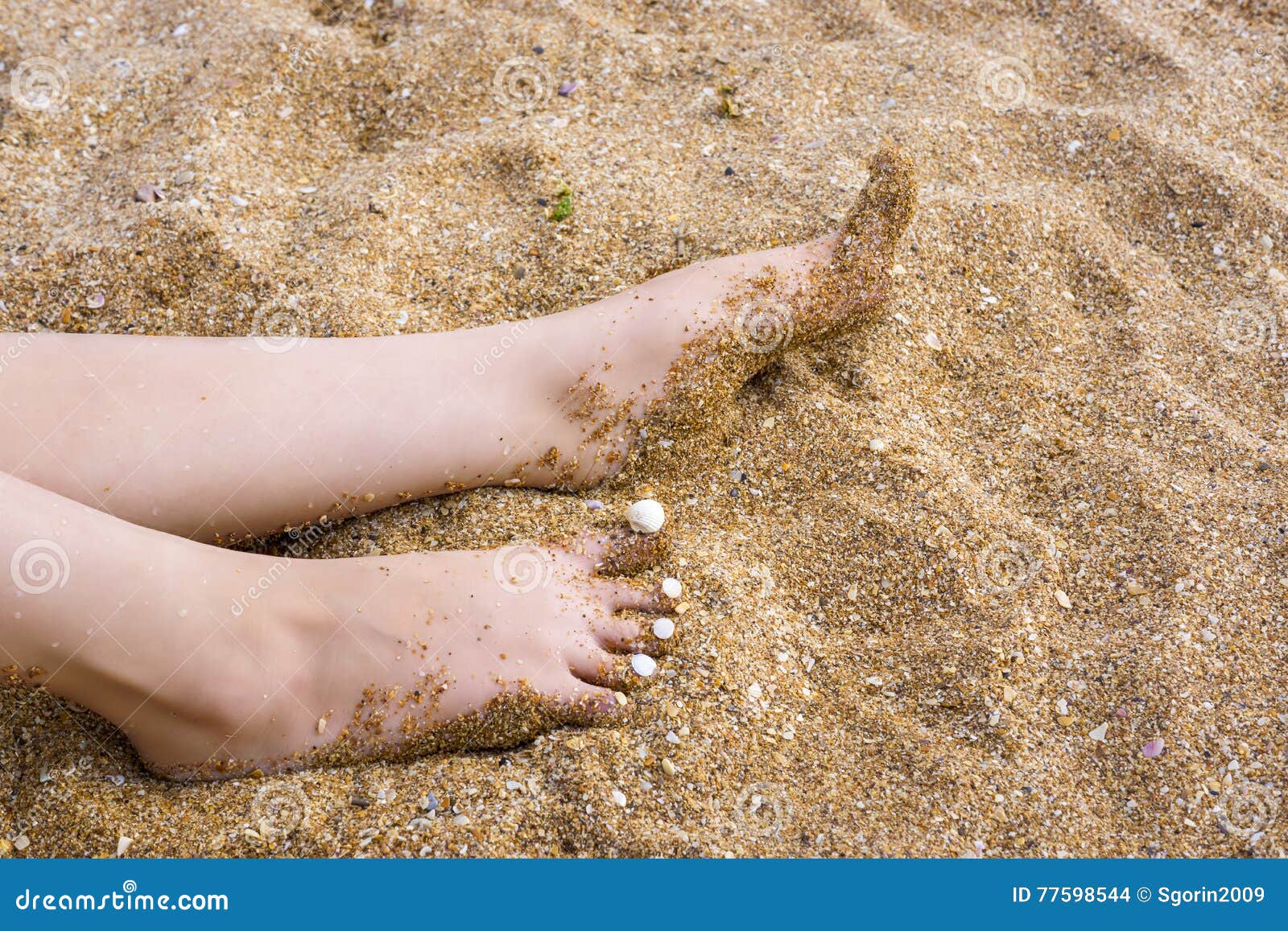 Sea Shells on Feet Nails on Beach Stock Photo - Image of ocean ...