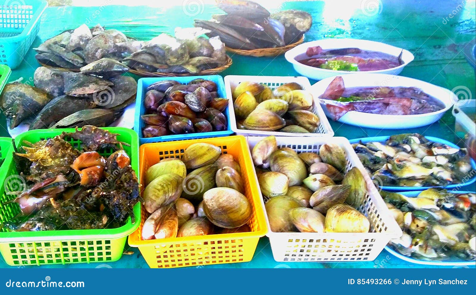 Sea foods stock photo. Image of squid, fish, foods, shells - 85493266