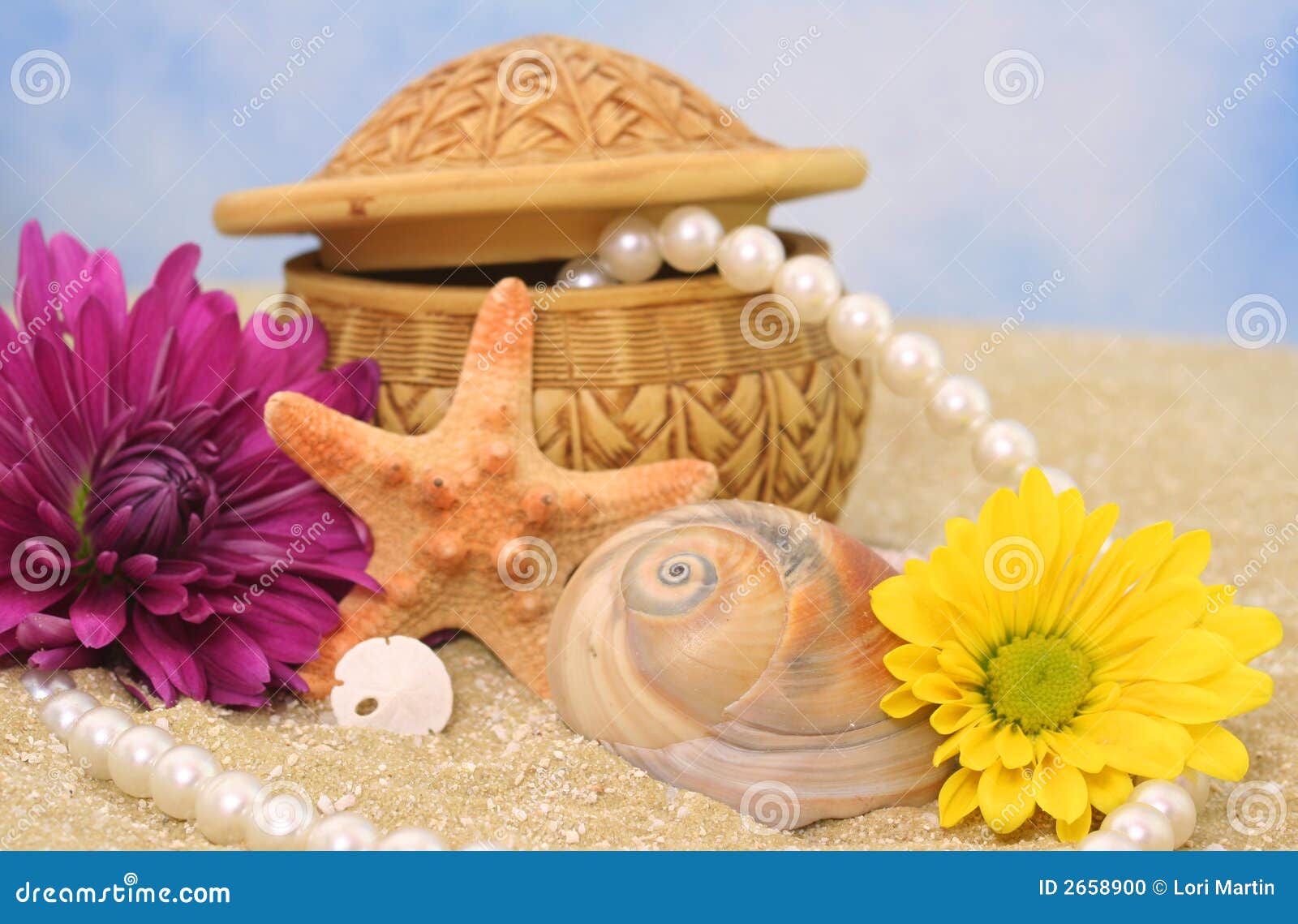 Sea Shells and Flowers stock photo. Image of shell, seaside - 2658900