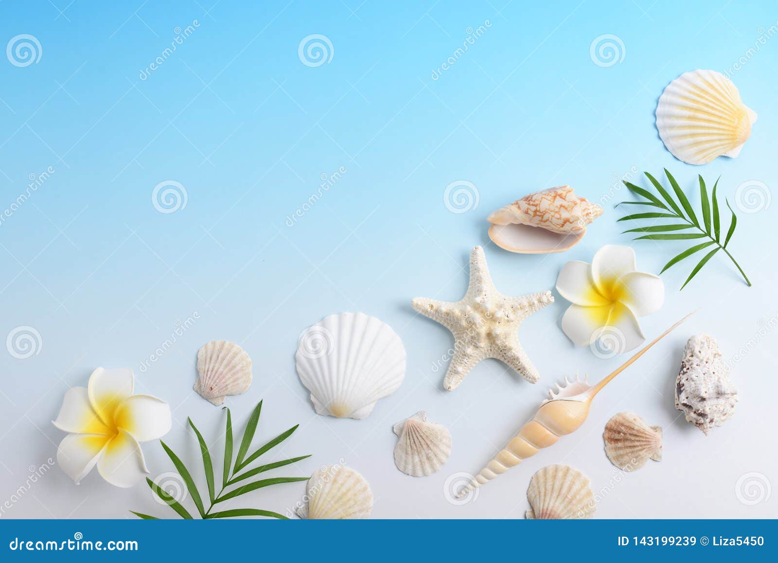 Sea shells with flowers stock image. Image of pleasure - 143199239