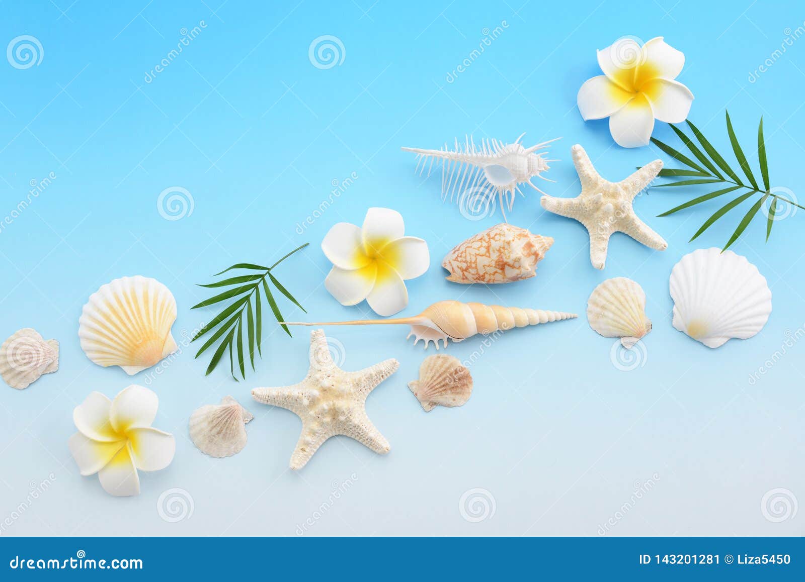 Sea shells with flowers stock image. Image of marine - 143201281