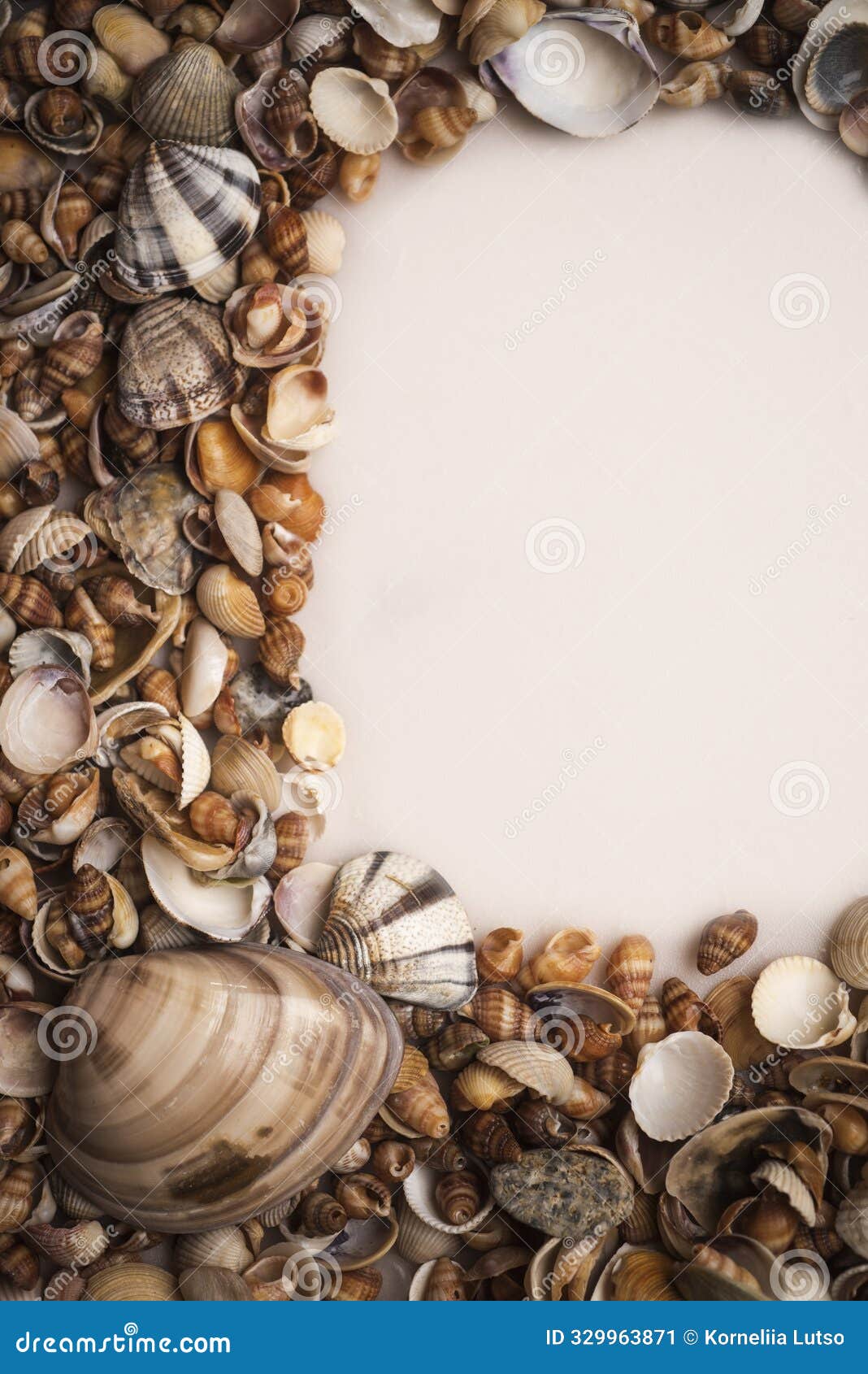 Sea Shells Frame Background. Seashells for Wallpaper. Colorful Shells ...