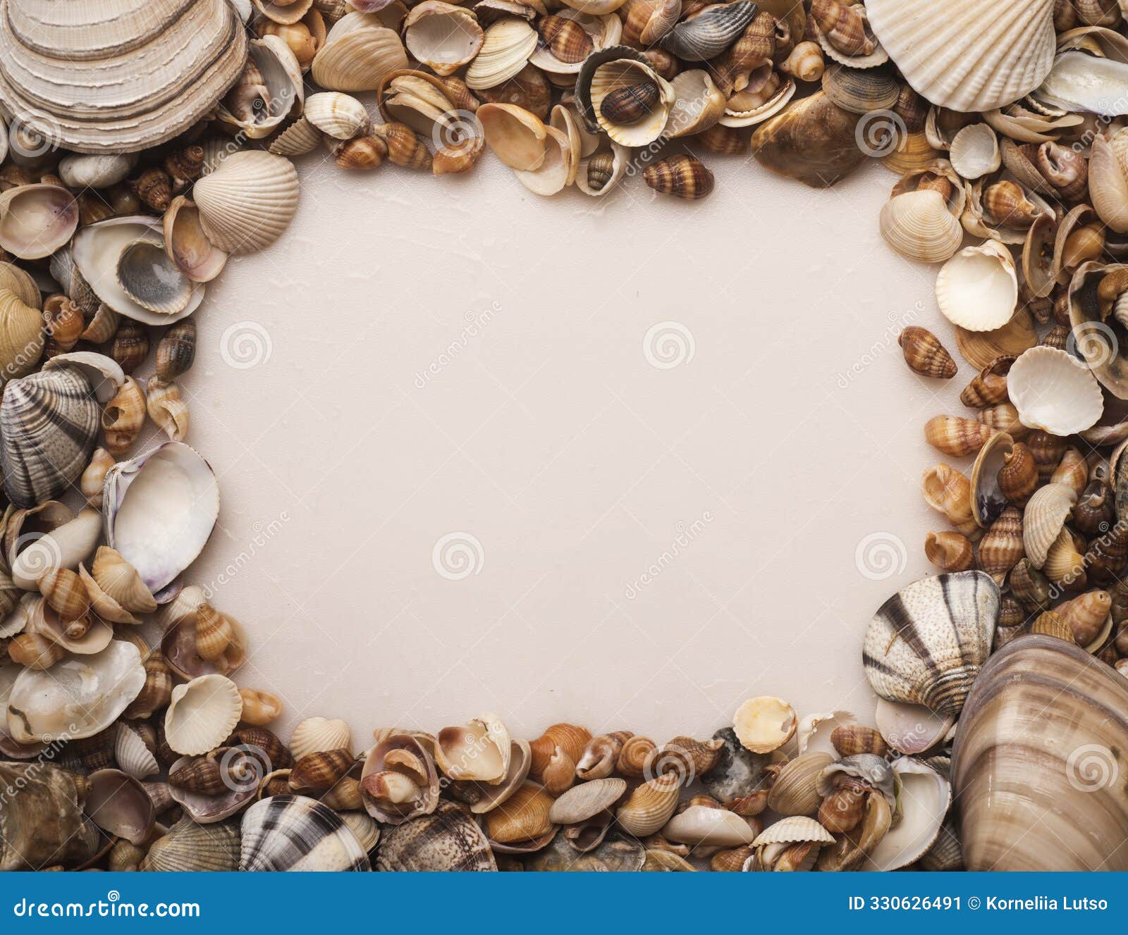 Sea Shells Frame Background. Seashells for Wallpaper. Colorful Shells ...