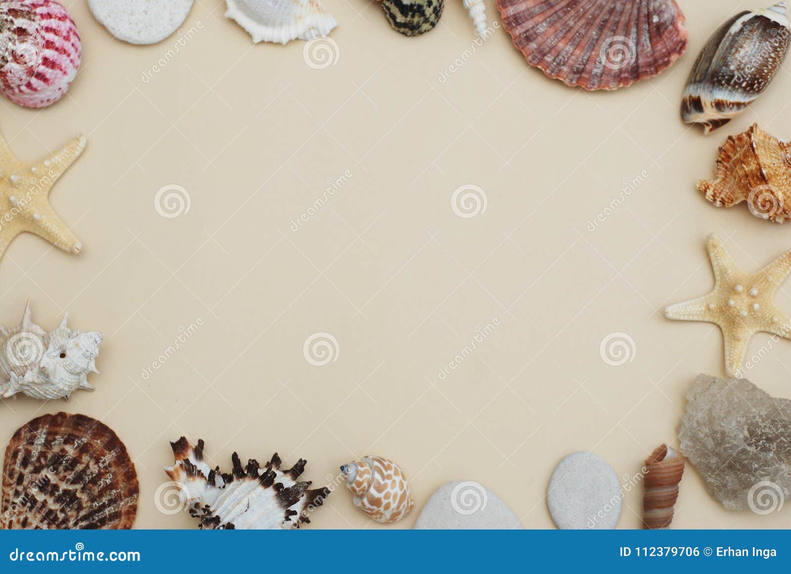 Sea Shells Frame on Neutral Ivory Backgroundwith Copy Space for Text ...