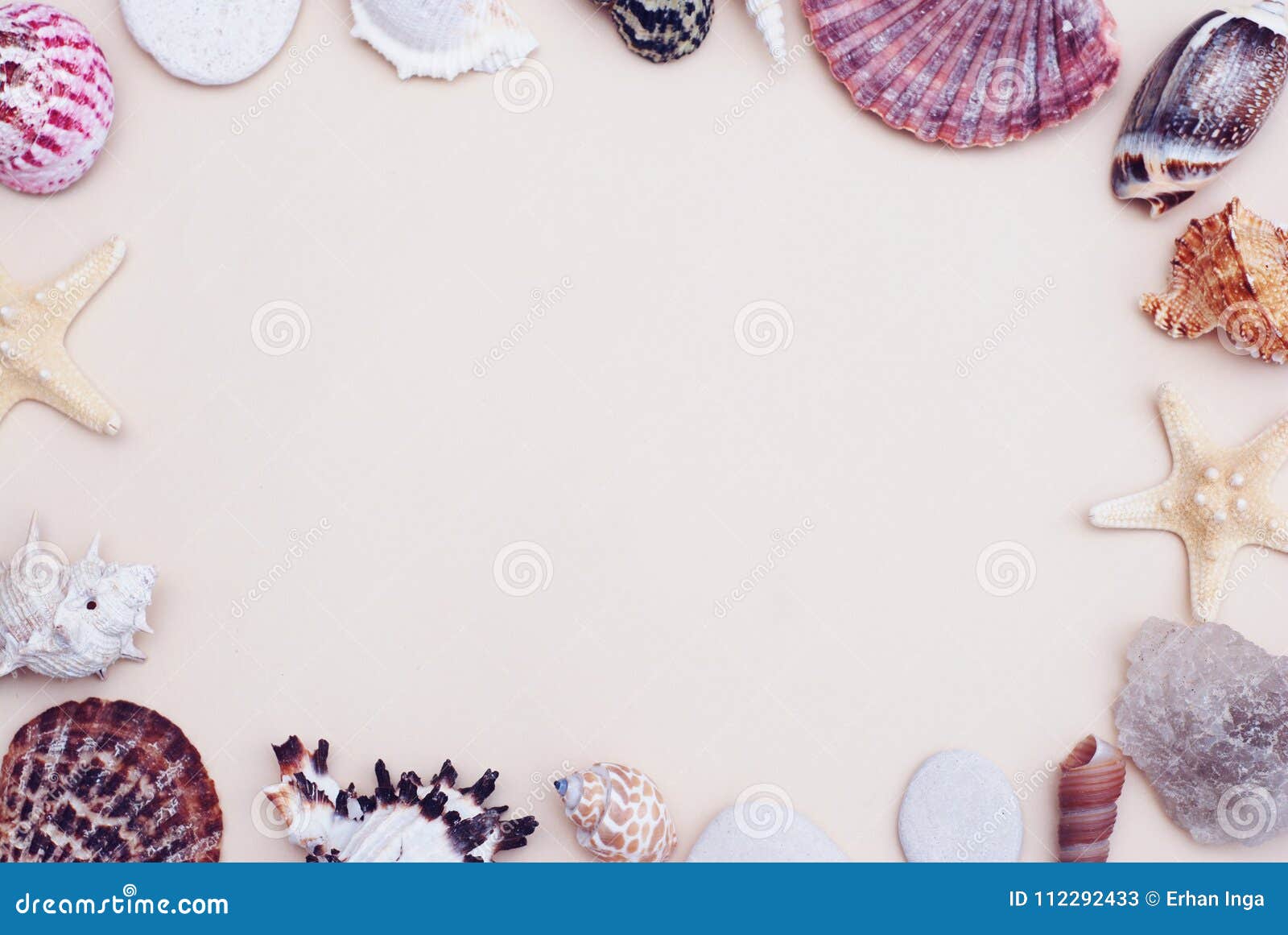 Sea Shells Frame on Neutral Ivory Backgroundwith Copy Space for Text ...