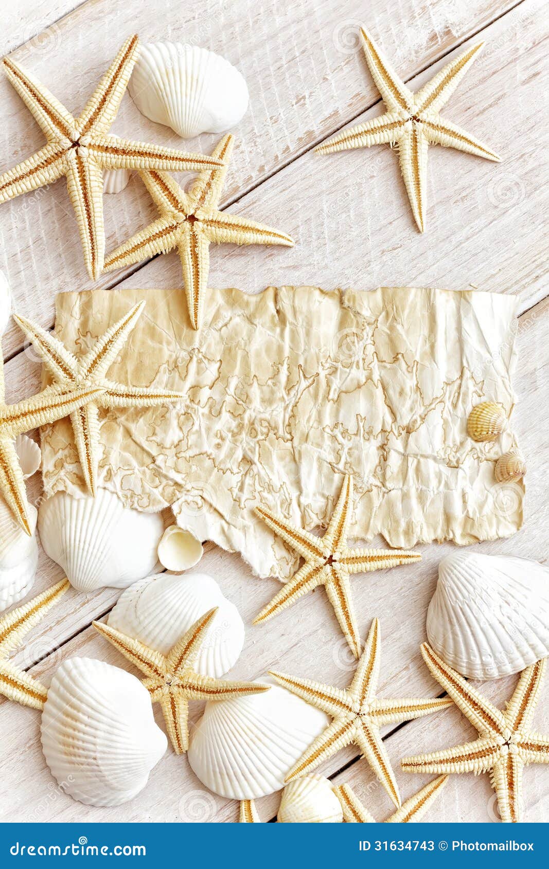 Sea shells frame stock image. Image of frame, backdrop - 31634743