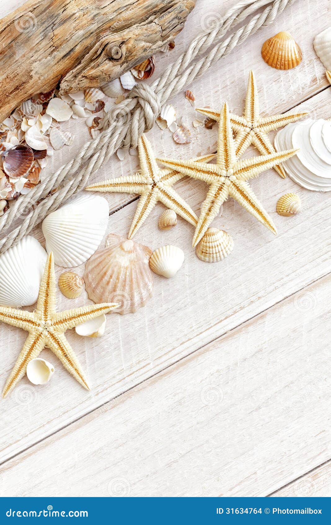 Sea shells frame stock photo. Image of decoration, maritime - 31634764