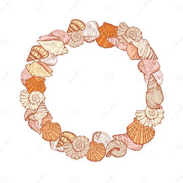 Sea shells frame stock vector. Illustration of seashell - 74459708