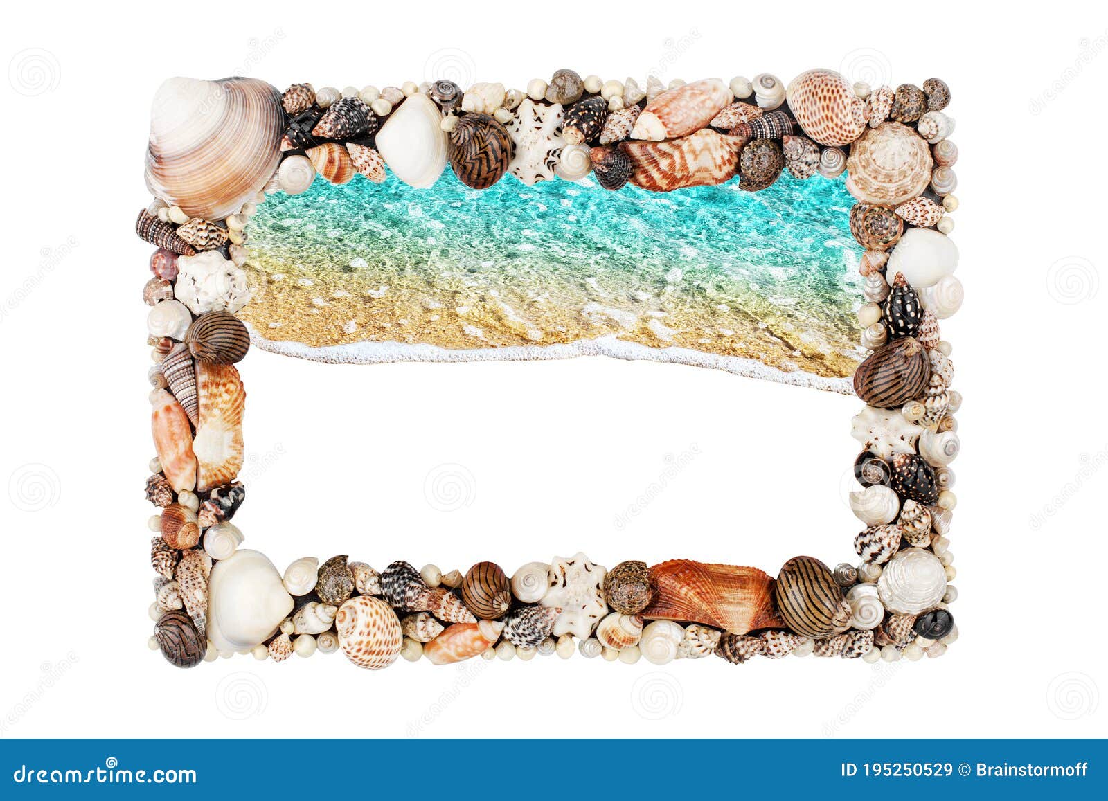 Sea Shells Frame White Background Isolated Closeup Seashells Border ...