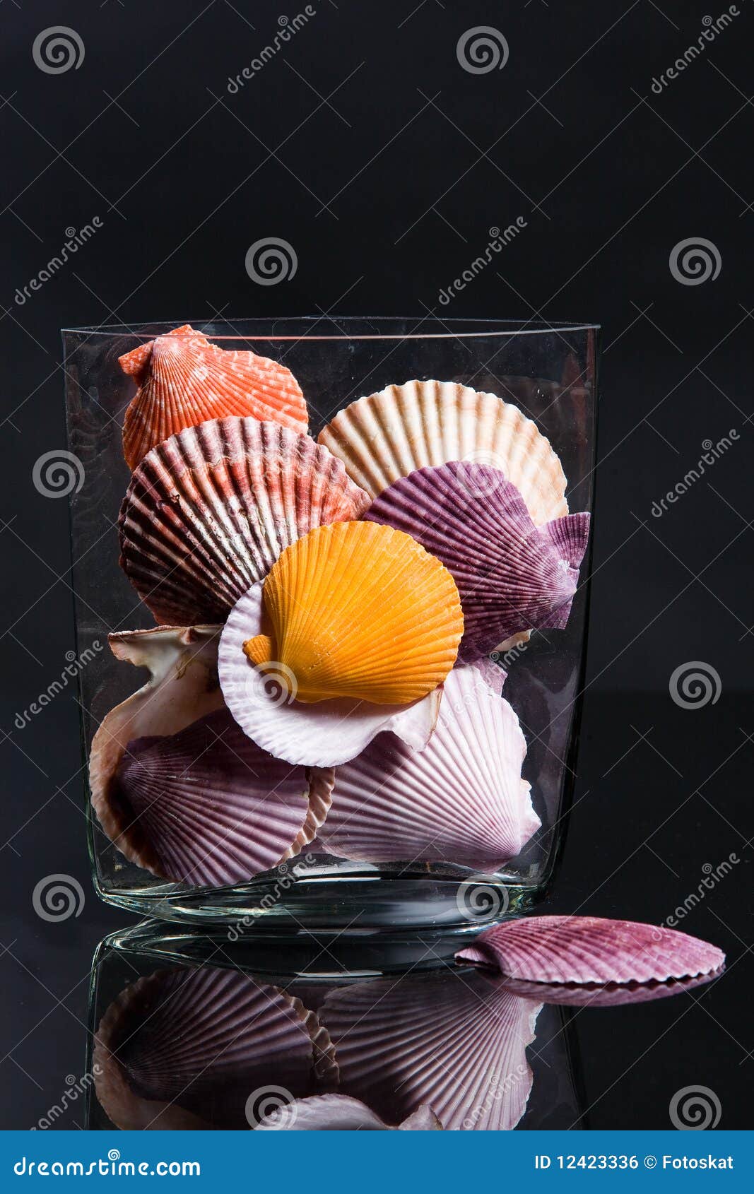 Sea shells in a glass stock photo. Image of ornate, abstract - 12423336