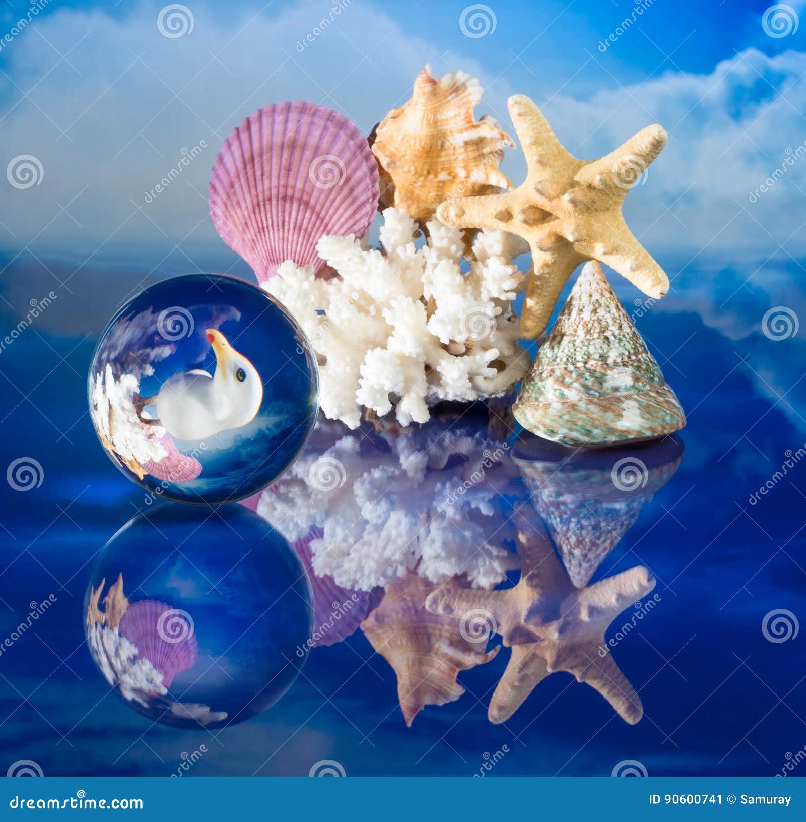 Sea shells and globe stock image. Image of life, marine - 90600741