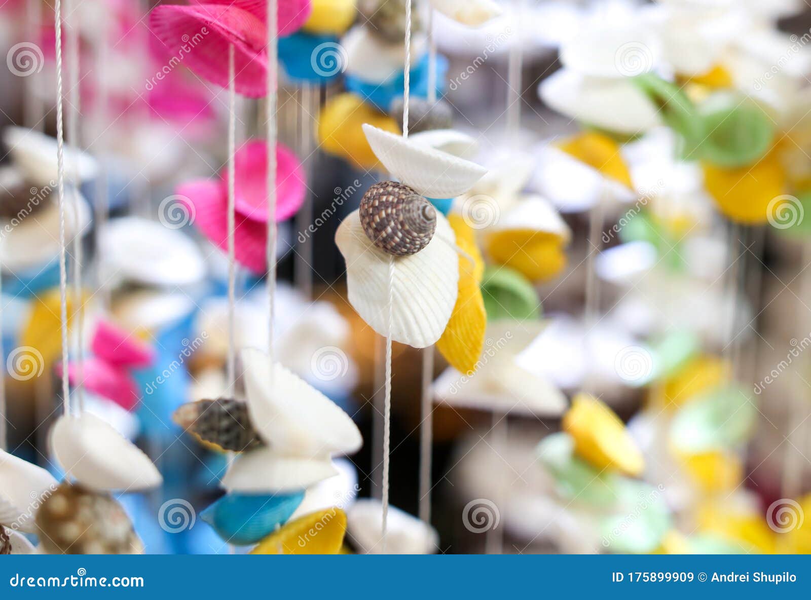 Sea Shells Hang on the Ropes Stock Image - Image of crafts, texture ...