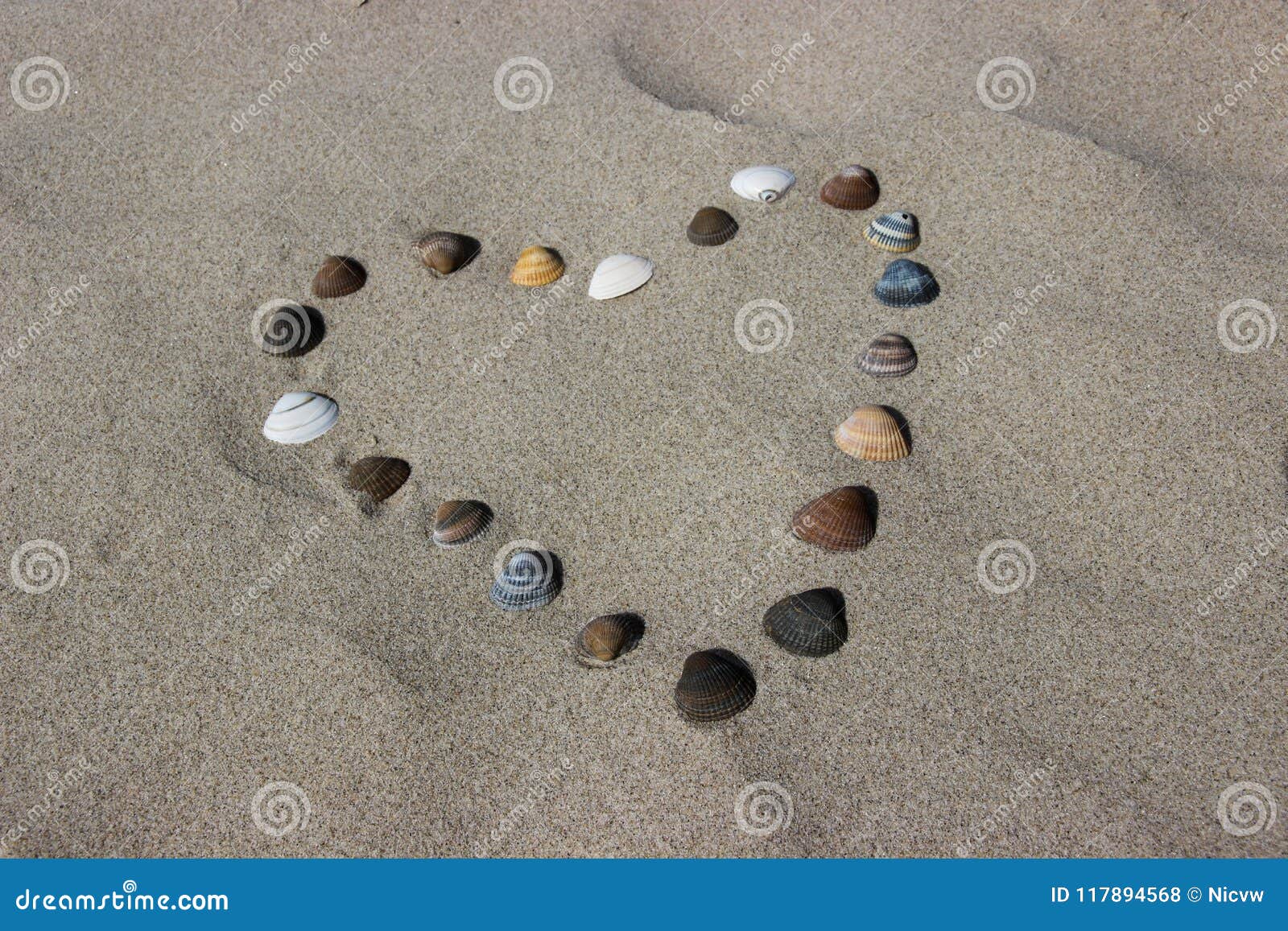 Sea shells heart stock photo. Image of fancy, gold, closeup - 117894568