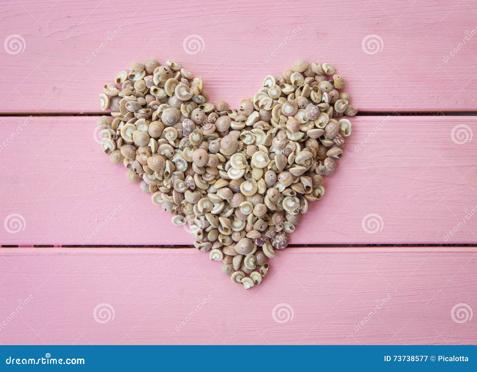 Sea Shells in a Heart Shape Stock Image - Image of shells, fathersday ...