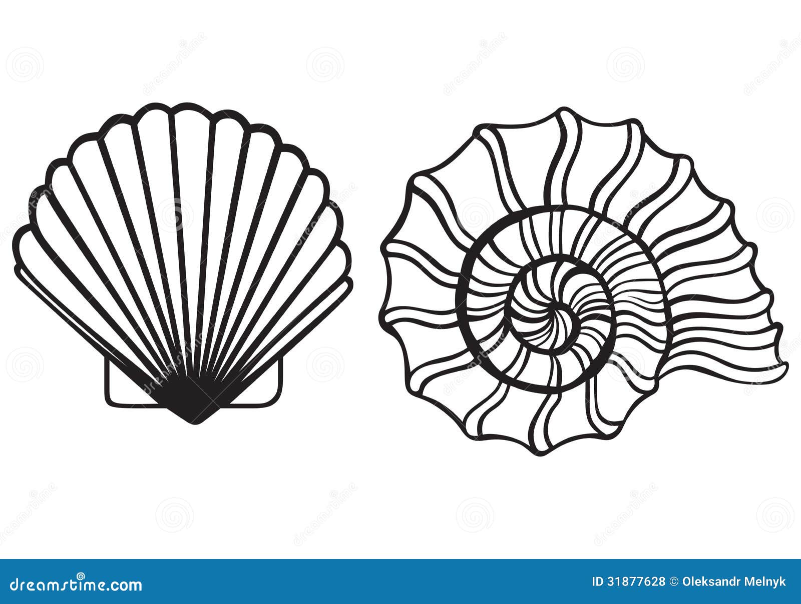 Seashell Clip Art Black And White