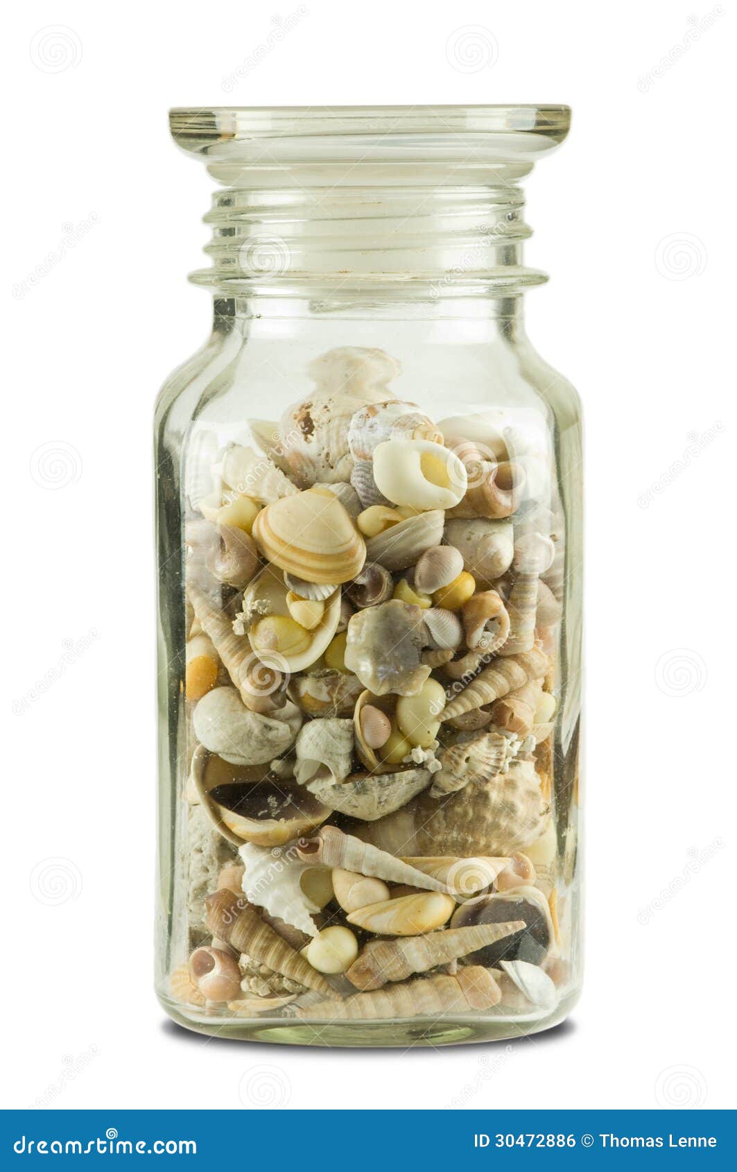 Sea shells in a jar stock photo. Image of glass, summer - 30472886