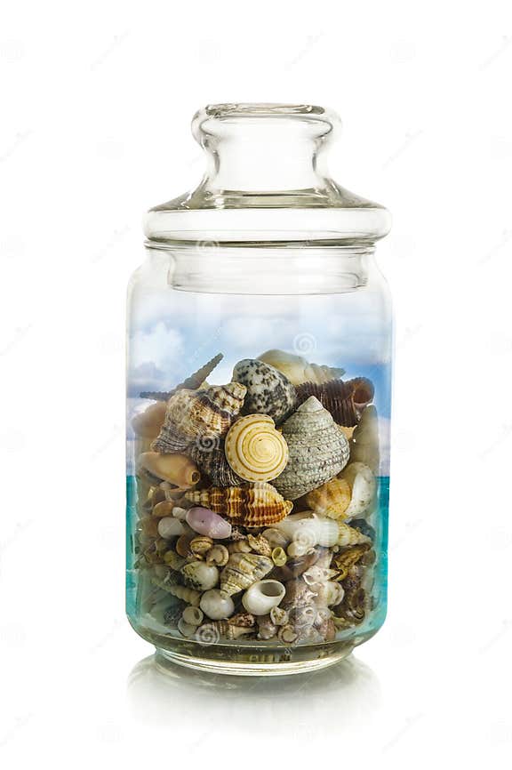 Sea shells in jar stock image. Image of closeup, texture - 34692667