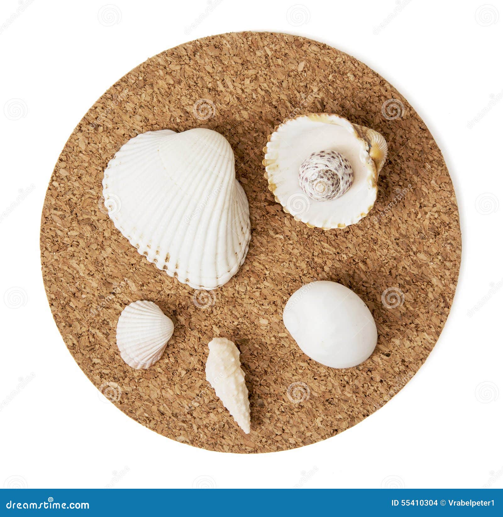 Sea Shells Mix on the Circular Cork Base Stock Photo - Image of natural ...