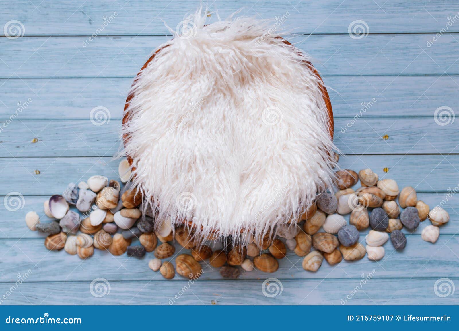 Sea Shells Newborn Photography Digital Background Prop. Wall Mural ...