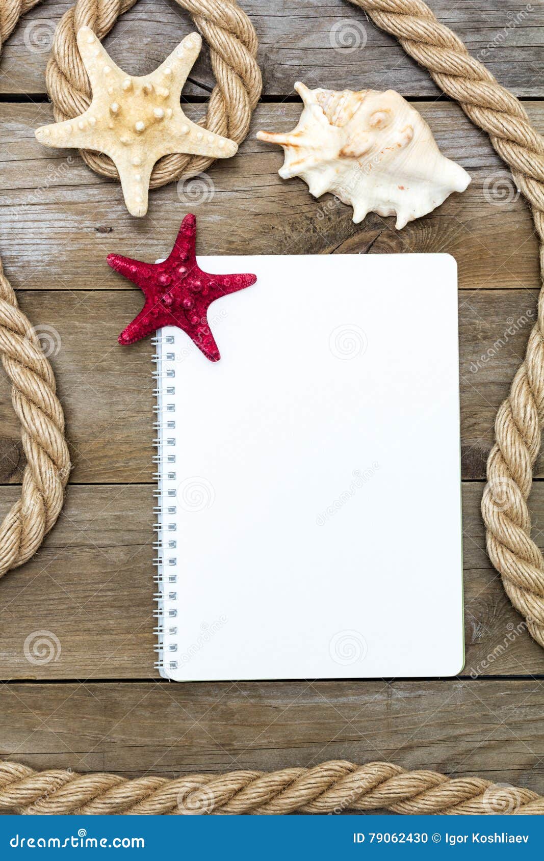 Sea Shells, Notepad and Rope on Old Boards Stock Photo - Image of ...