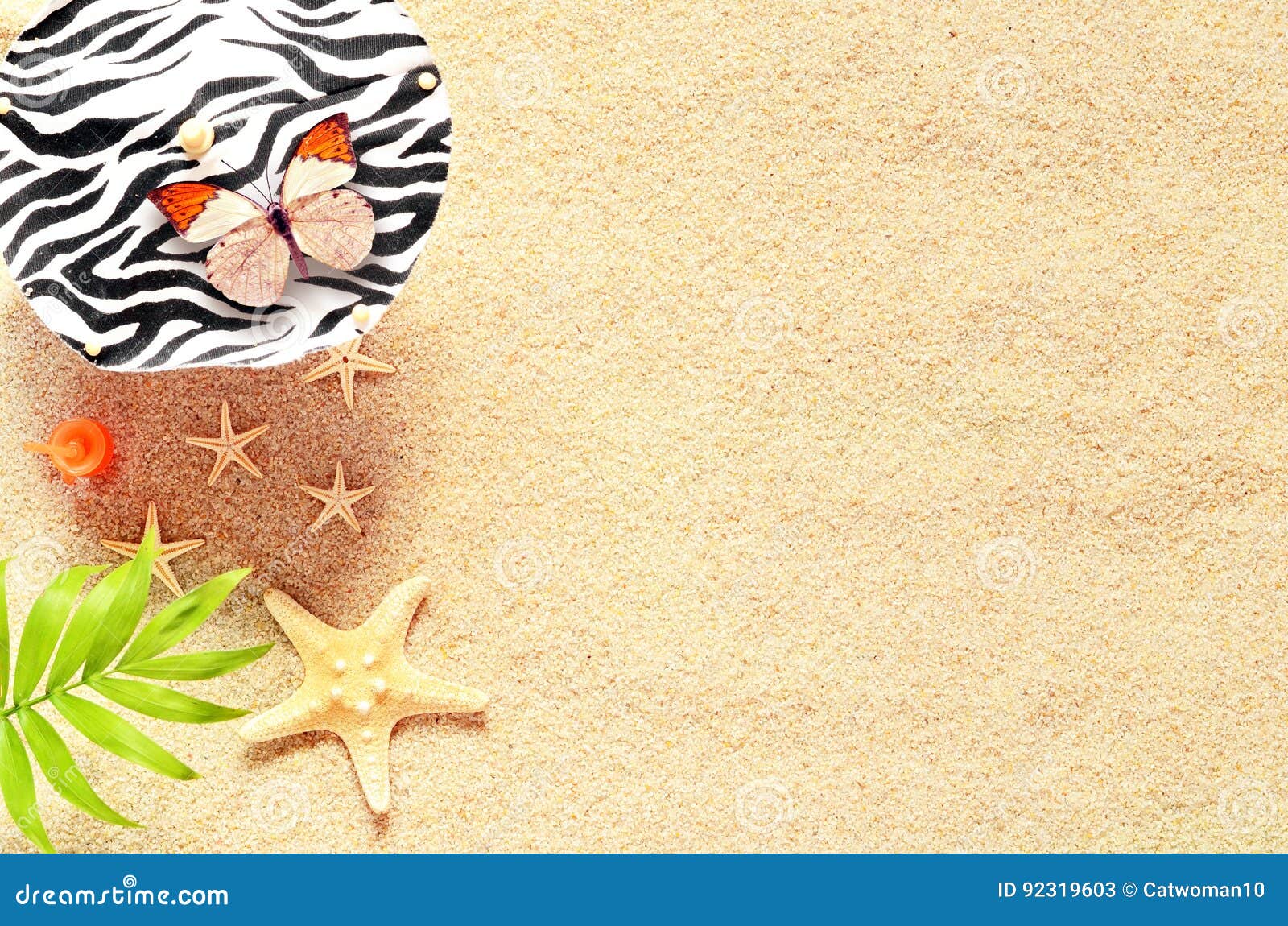 Sea Shells and Palm on the Sand Background. Summer Beach. Stock Image ...