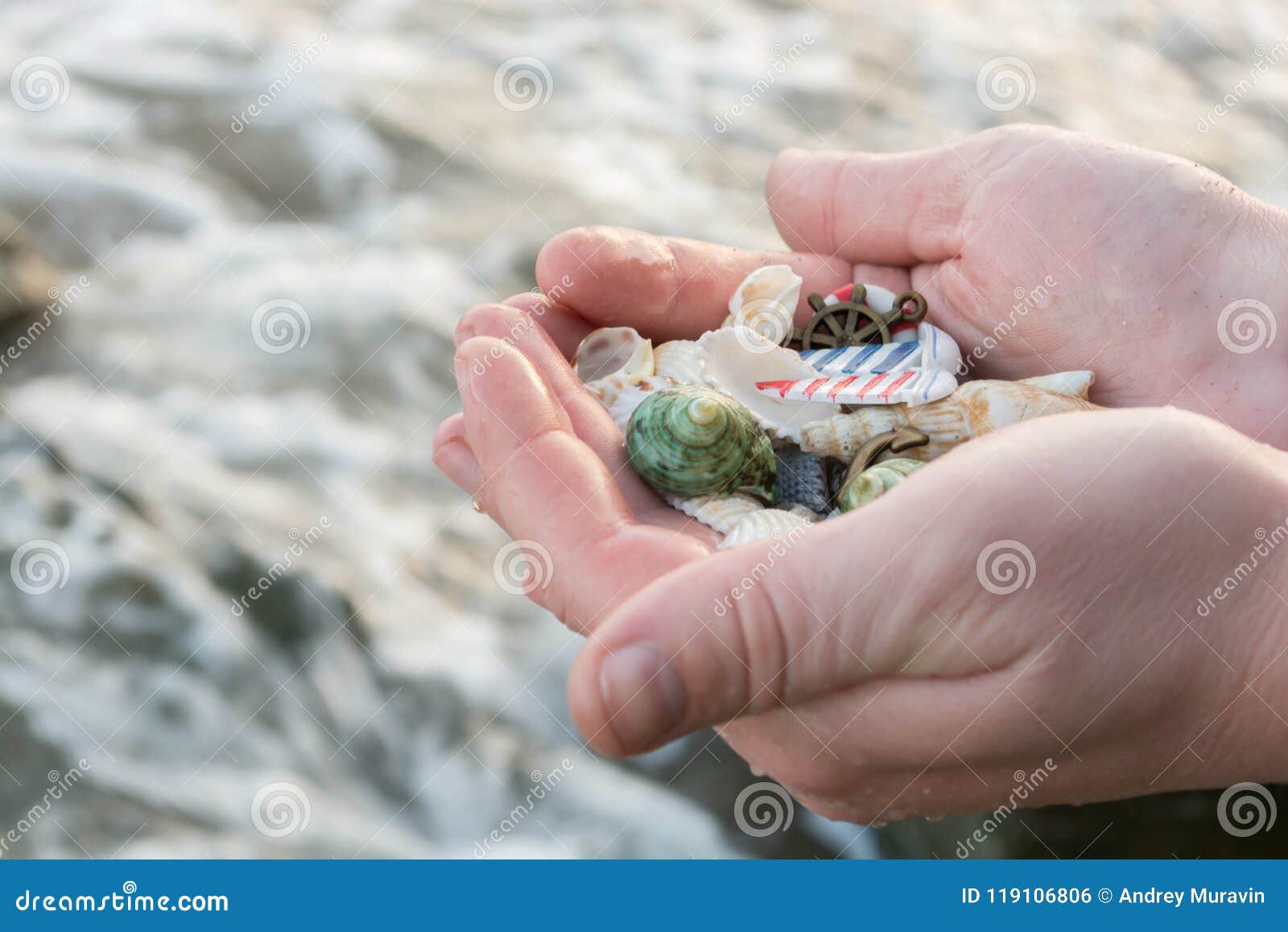 Shells in the hands 7 stock photo. Image of shell, hand - 119106806
