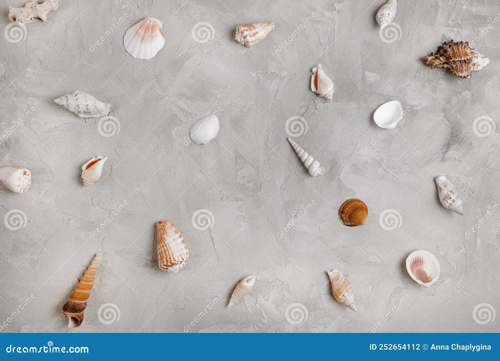 Sea Shells Pattern on Gray Background. Abstract Sea Vacation Background ...