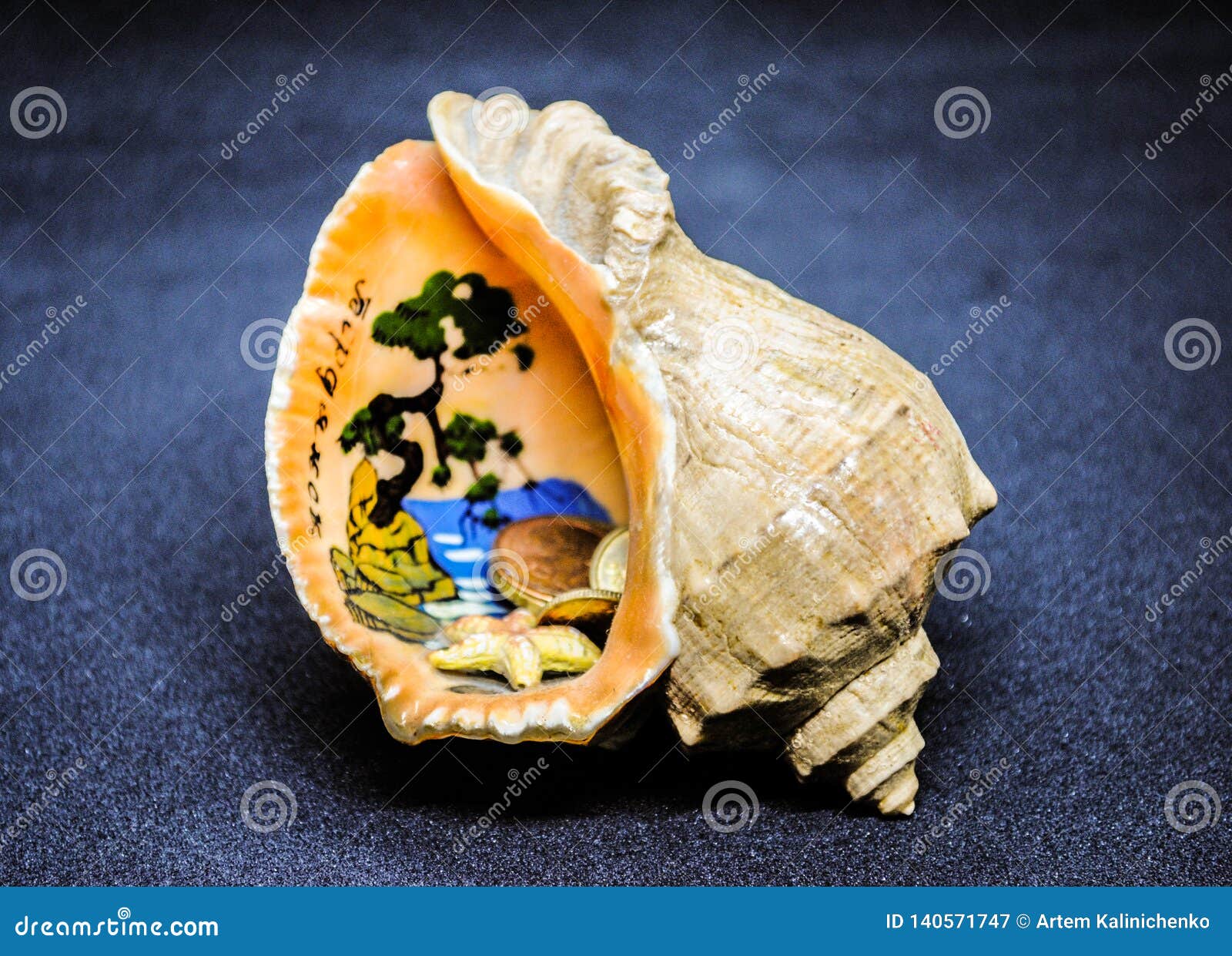 Seashell with a Pattern Inside and Money Stock Image - Image of ...