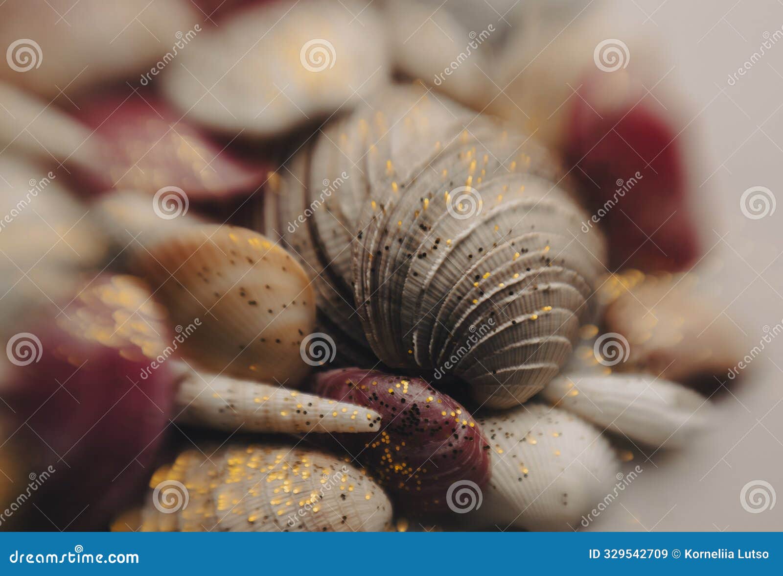 Sea Shells Pattern. Seashell Background. Sea Shells Collection. Marine ...