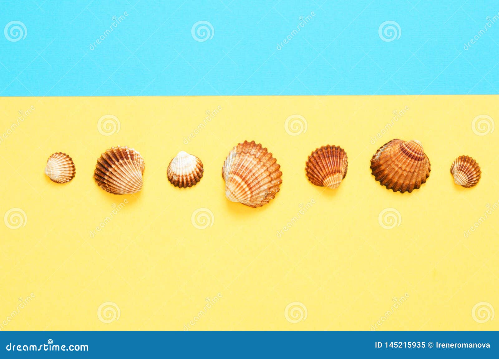 Sea Shells Pattern on Turquoise and Yellow Paper Background. Summer ...