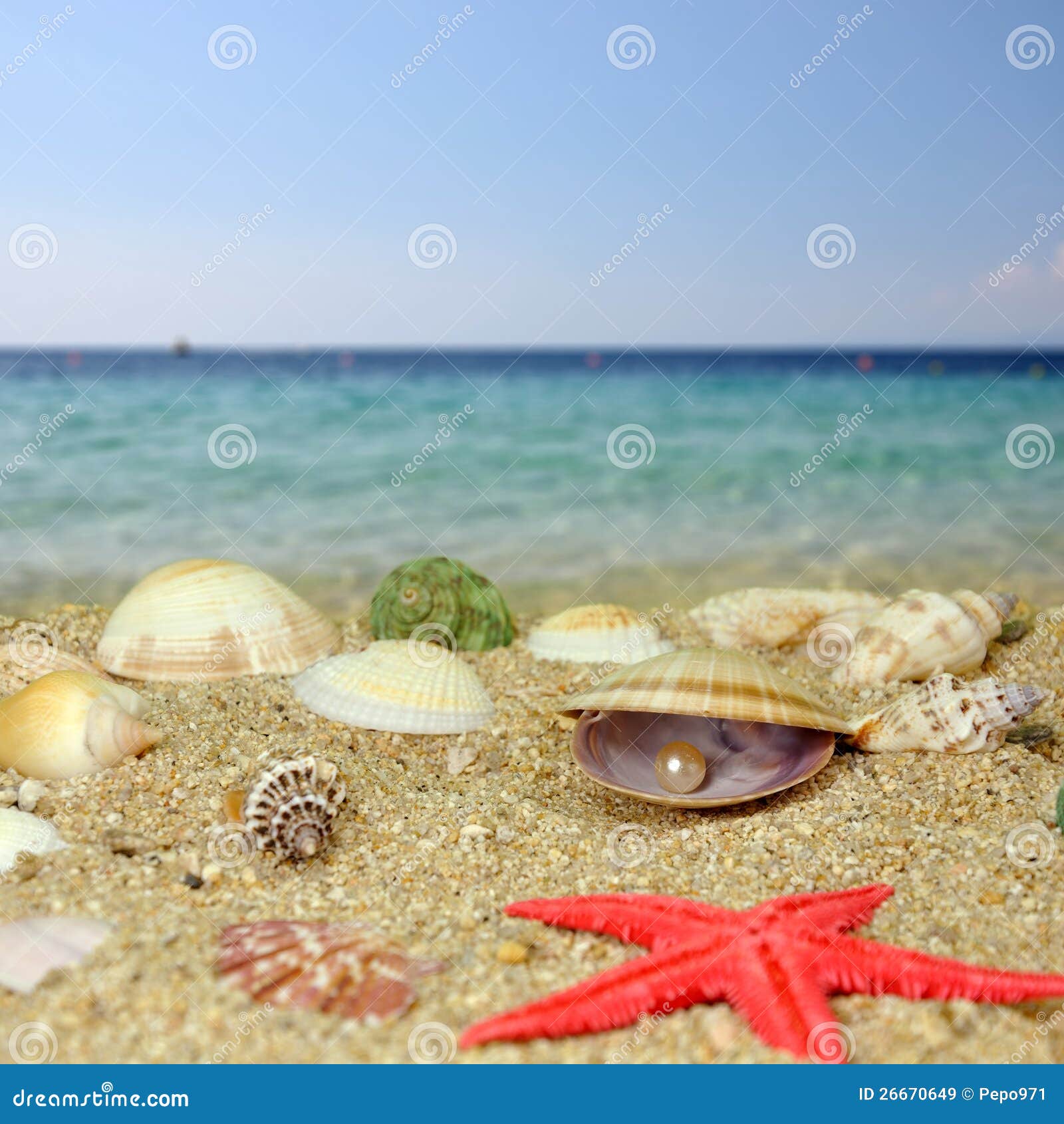 Sumer beach scene stock image. Image of shell, seashells - 26670649