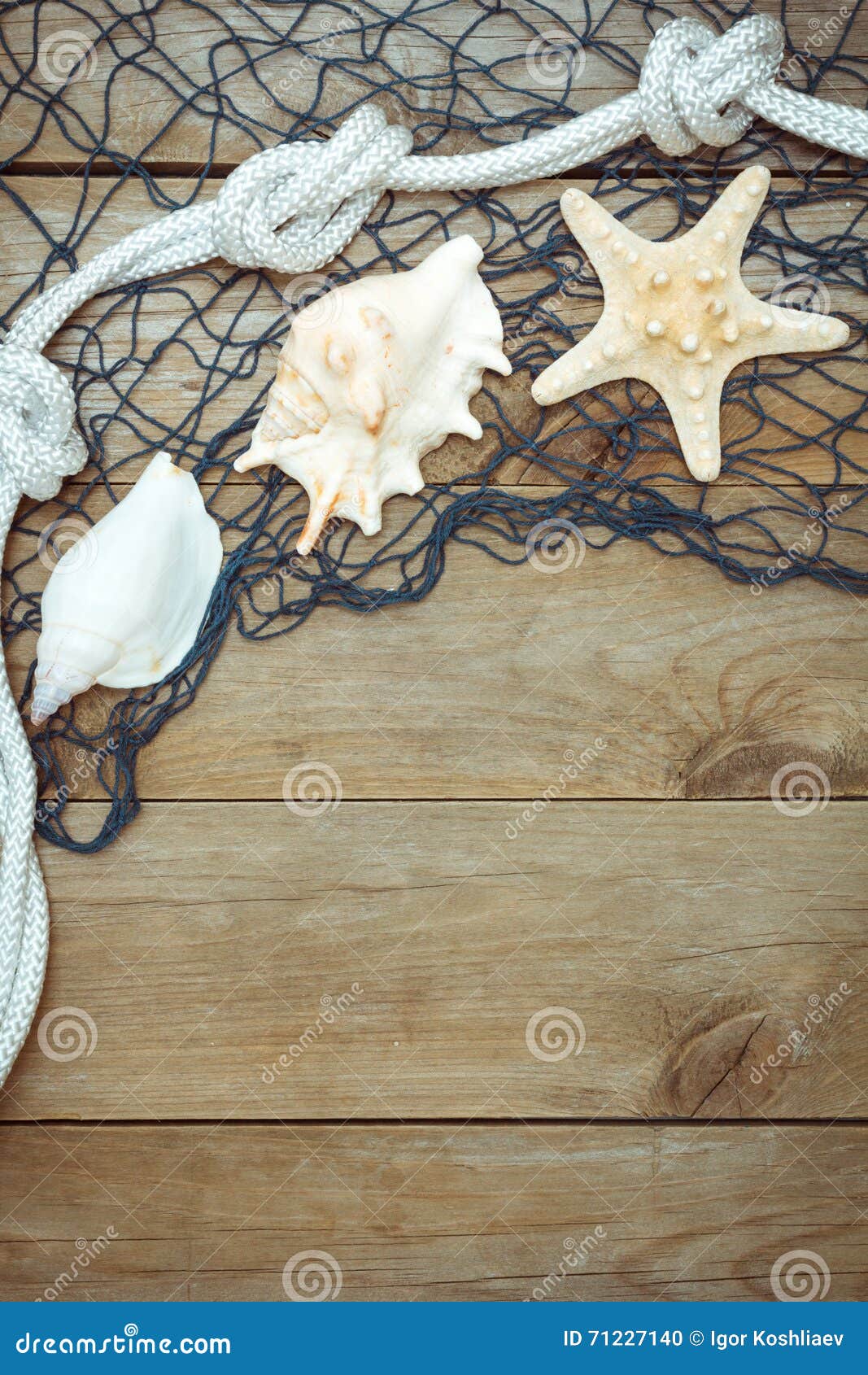 Sea Shells and Rope on Old Boards Stock Photo - Image of seashell ...