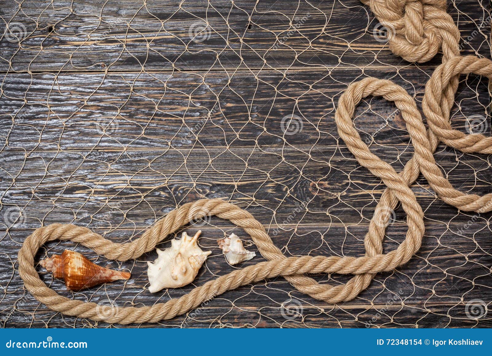 Sea Shells and Rope on Old Dark Boards Stock Photo - Image of string ...