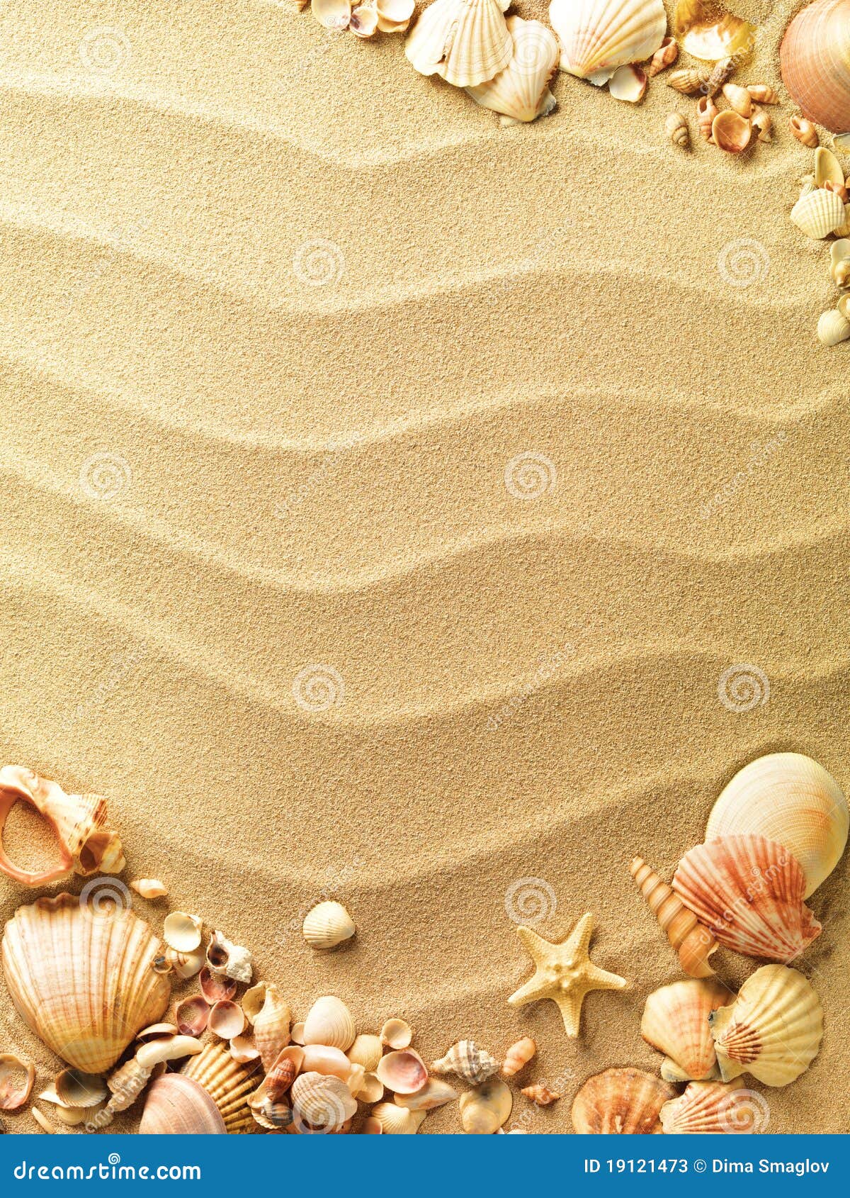 Sea shells with sand stock image. Image of nature, coast - 19121473